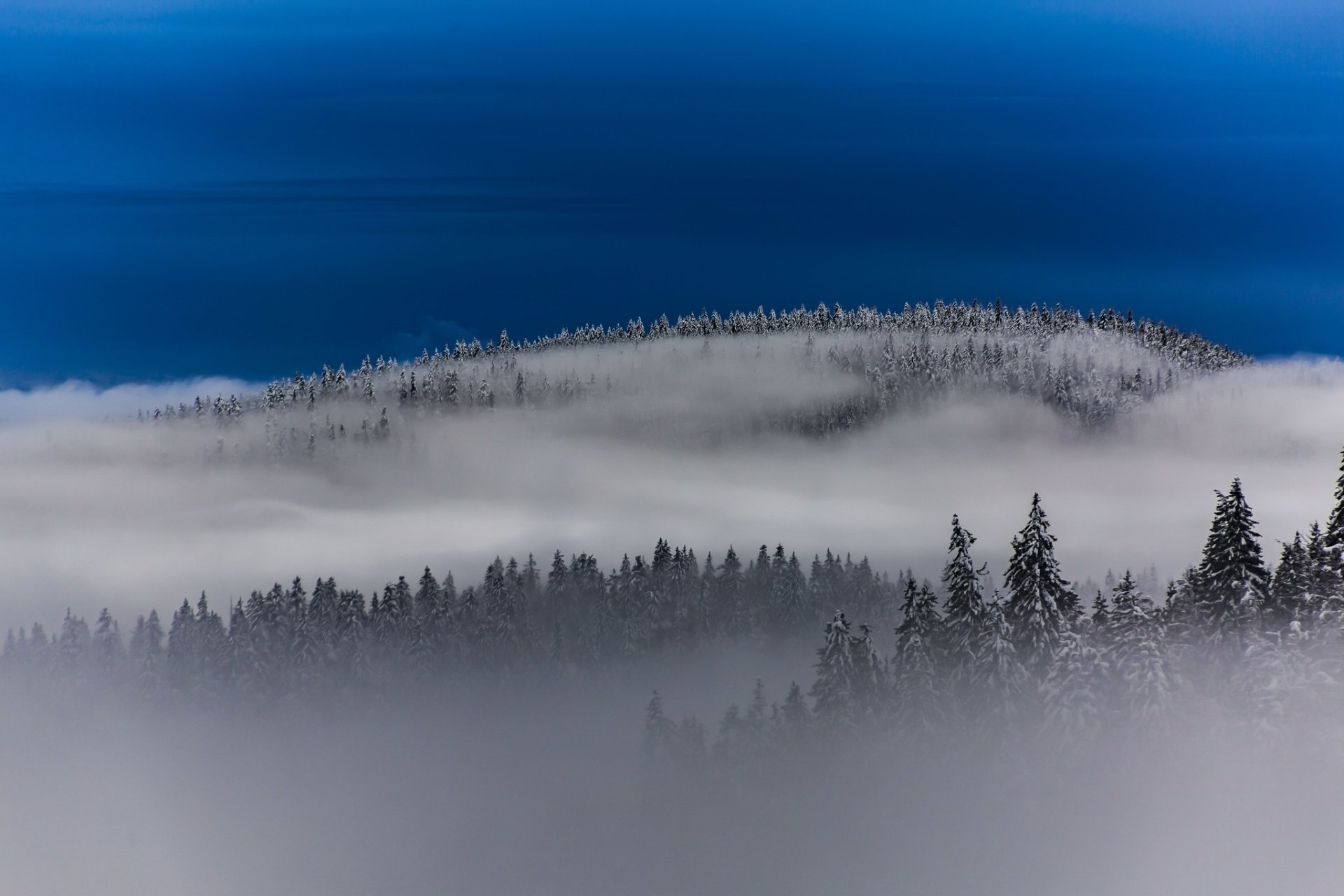Nature Fog HD Wallpaper by Sven Puth