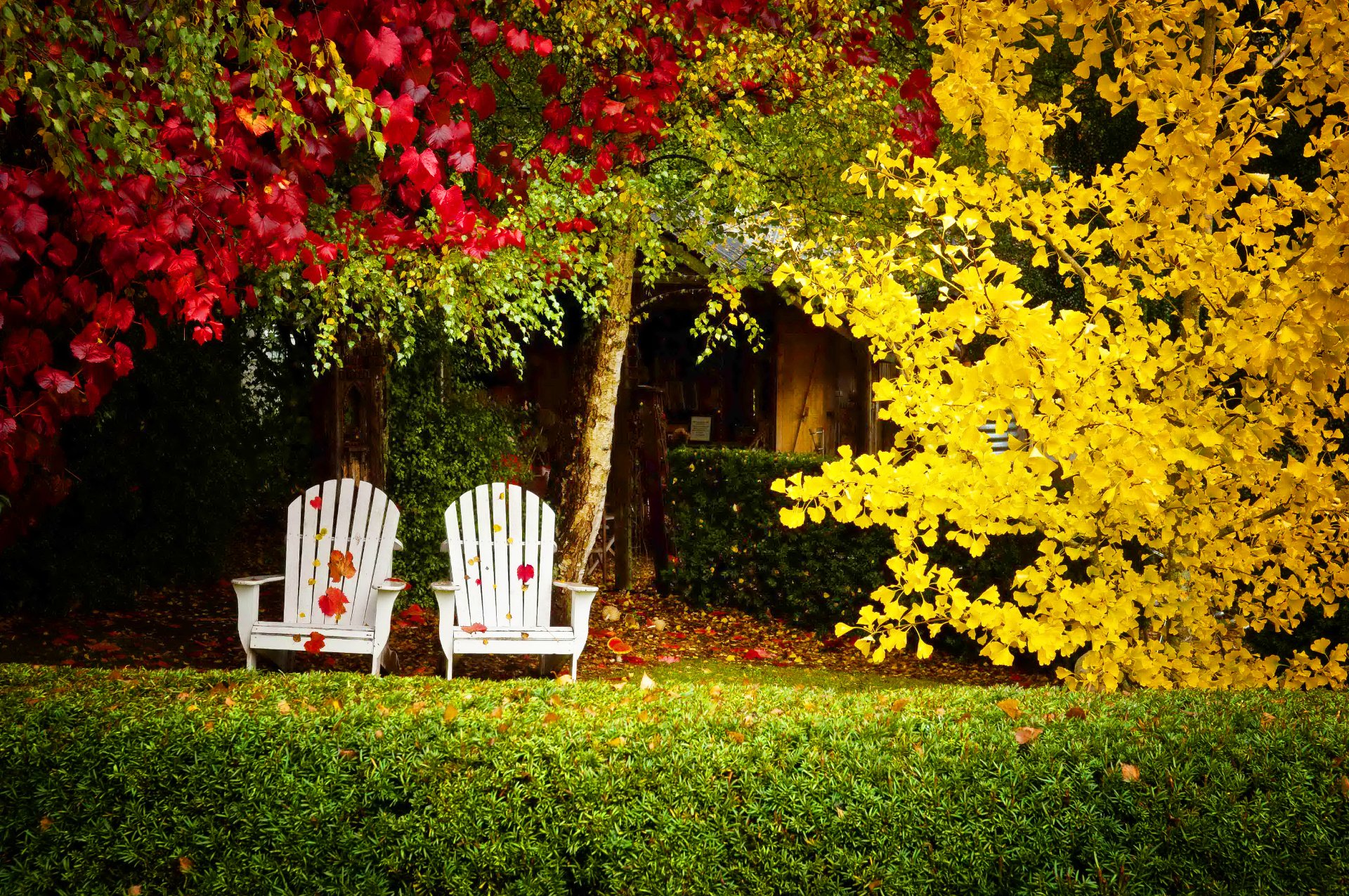 Download Tree Fall Chair Man Made Furniture HD Wallpaper