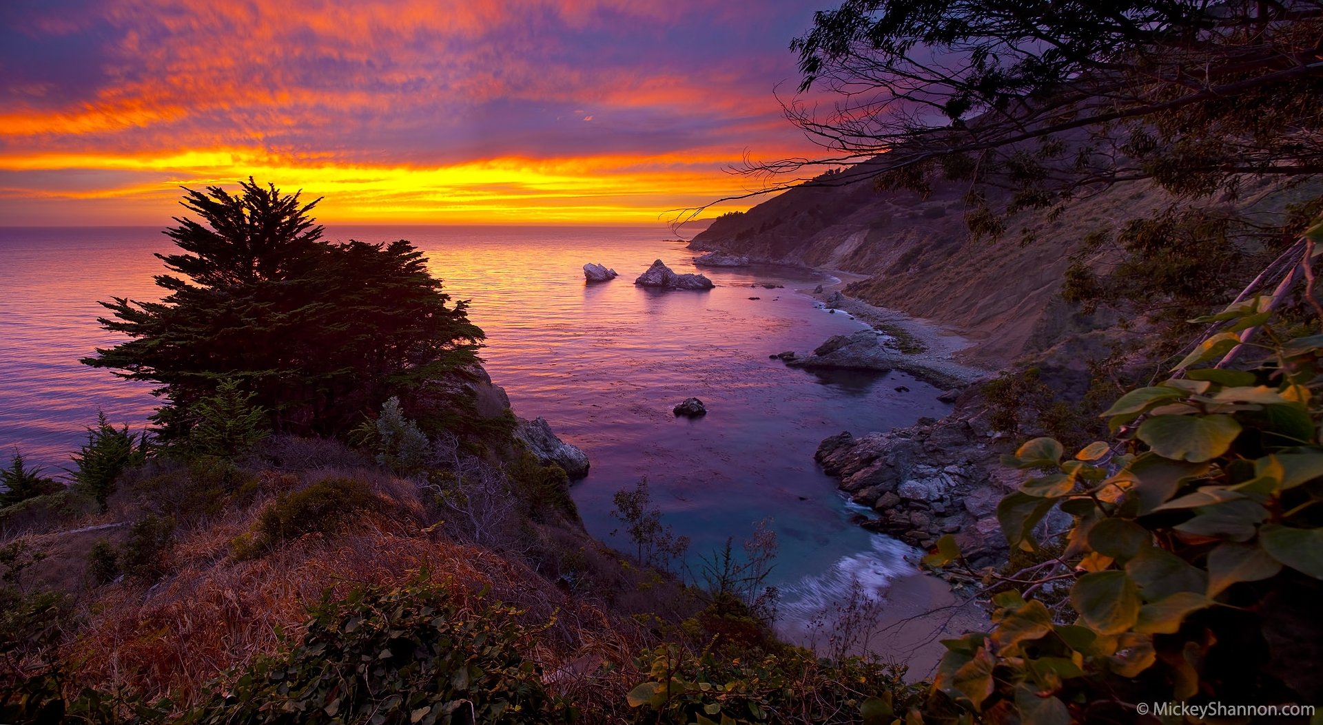 Download Horizon Sea Ocean Tree Coastline Coast Nature Sunset Wallpaper