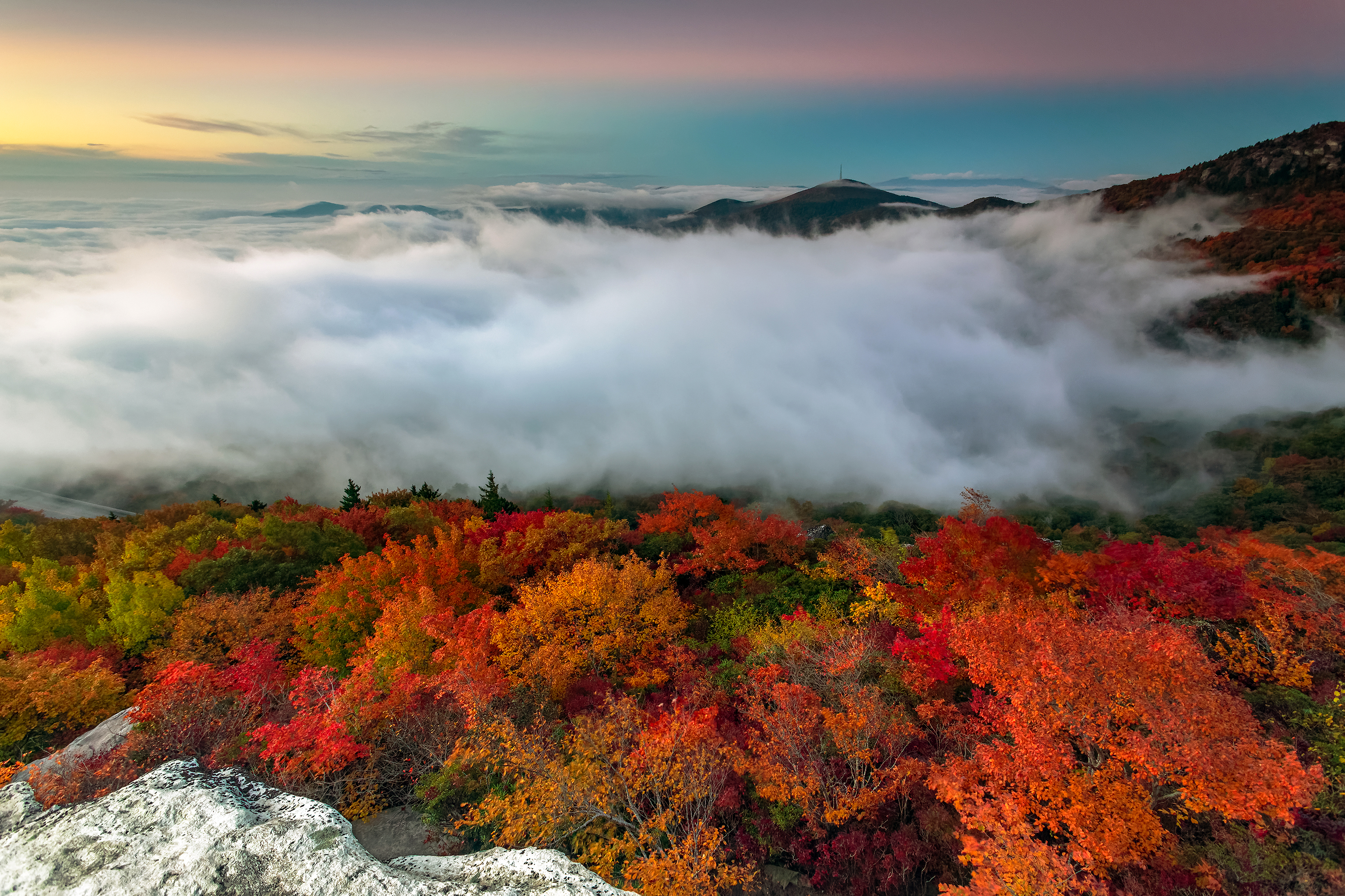Download Fall Horizon Fog Nature Landscape HD Wallpaper