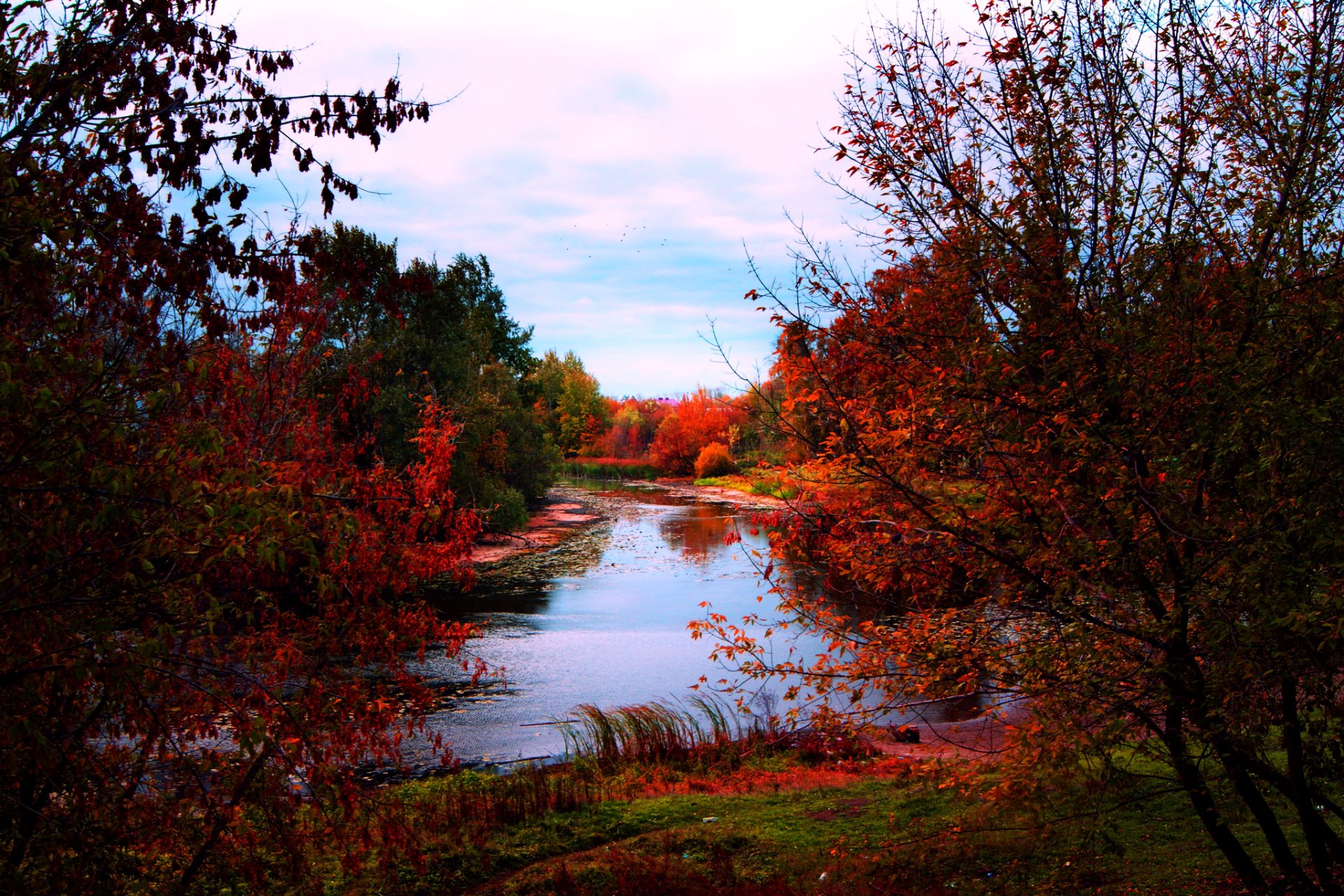 Serene Fall River: Stunning HD Nature Wallpaper with Vibrant Trees ...