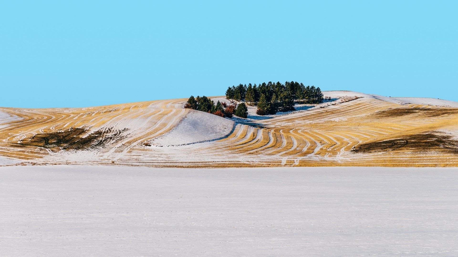 Snow-Crested Hill Over Golden Fields — Winter HD Wallpaper