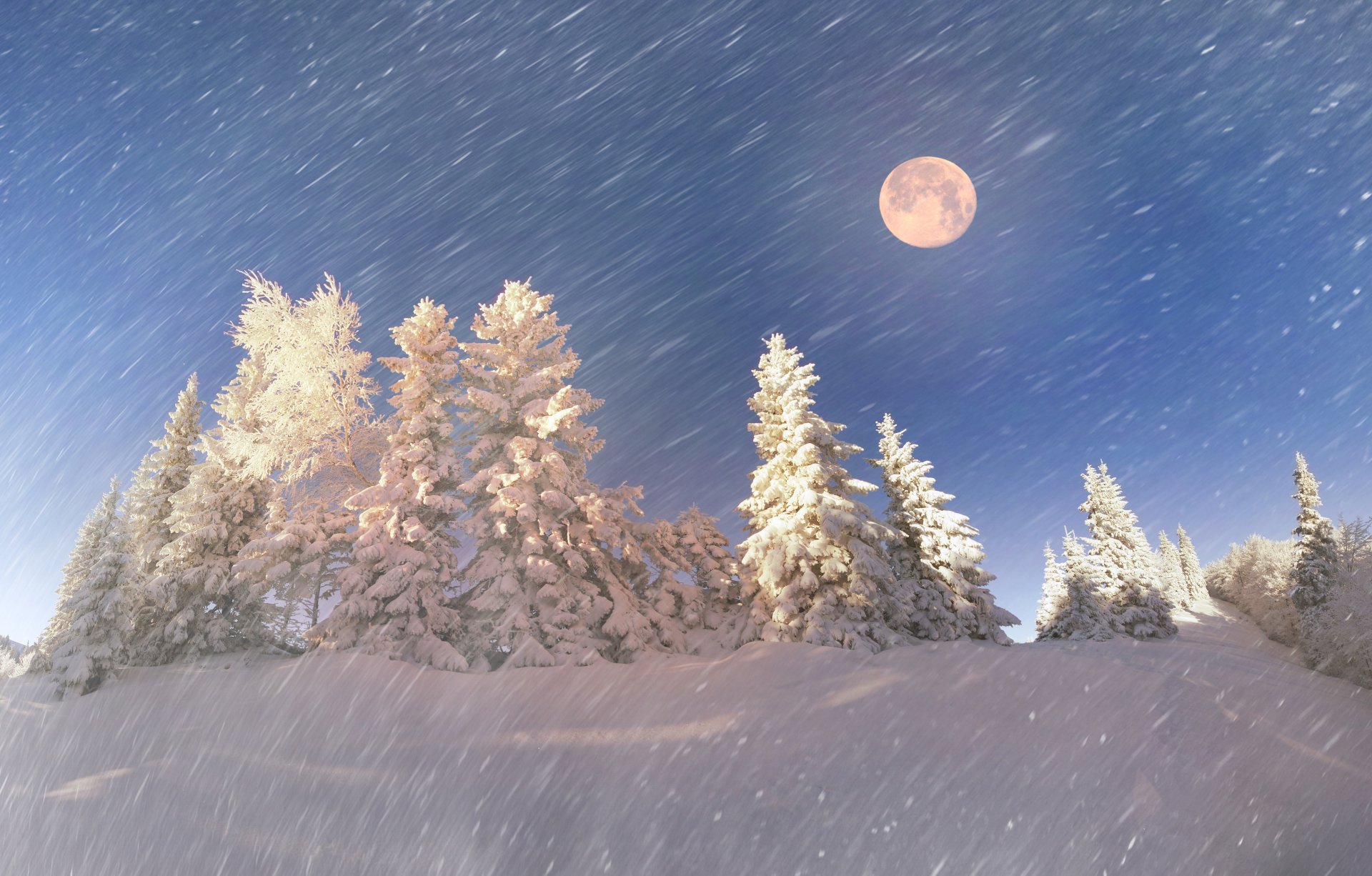 Download Moon Snowfall Forest Tree Snow Nature Winter 4k Ultra HD Wallpaper