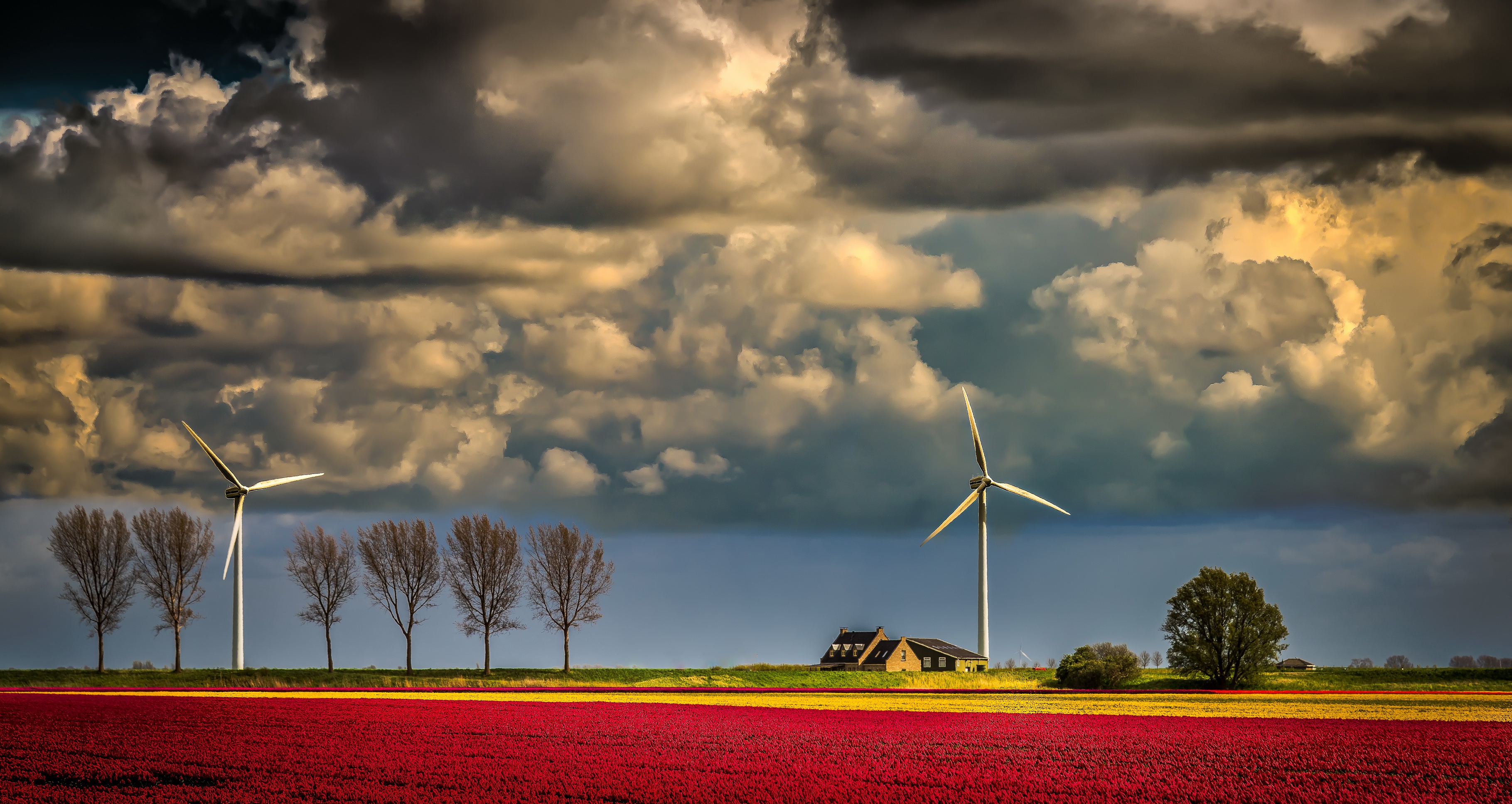 Download Sky Cloud Summer Field Man Made Wind Turbine HD Wallpaper