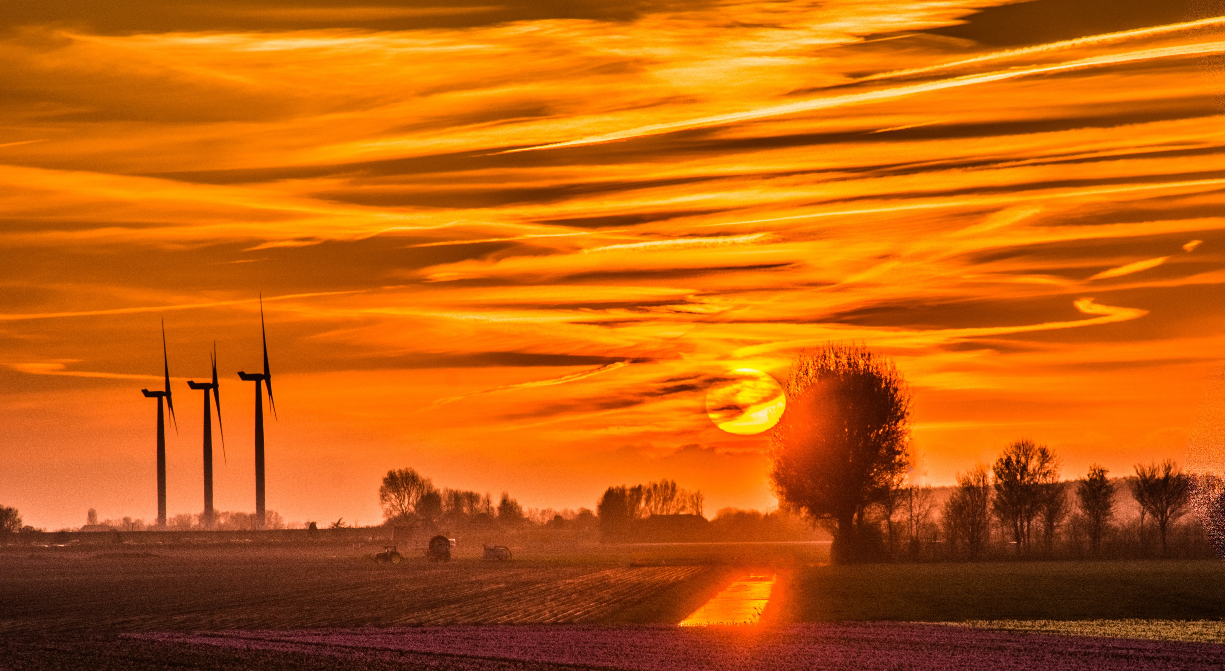 Download Orange (Color) Wind Turbine Field Sky Sun Photography Sunrise ...
