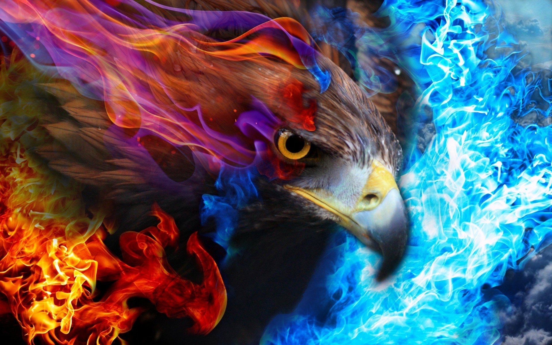 Eagle’s Fiery Gaze: Vibrant Flames and Colors HD Wallpaper