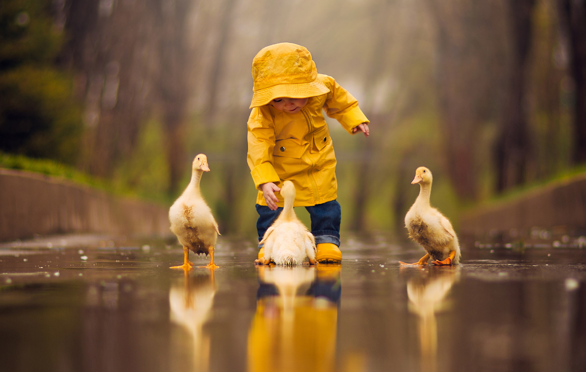 Child HD Wallpaper