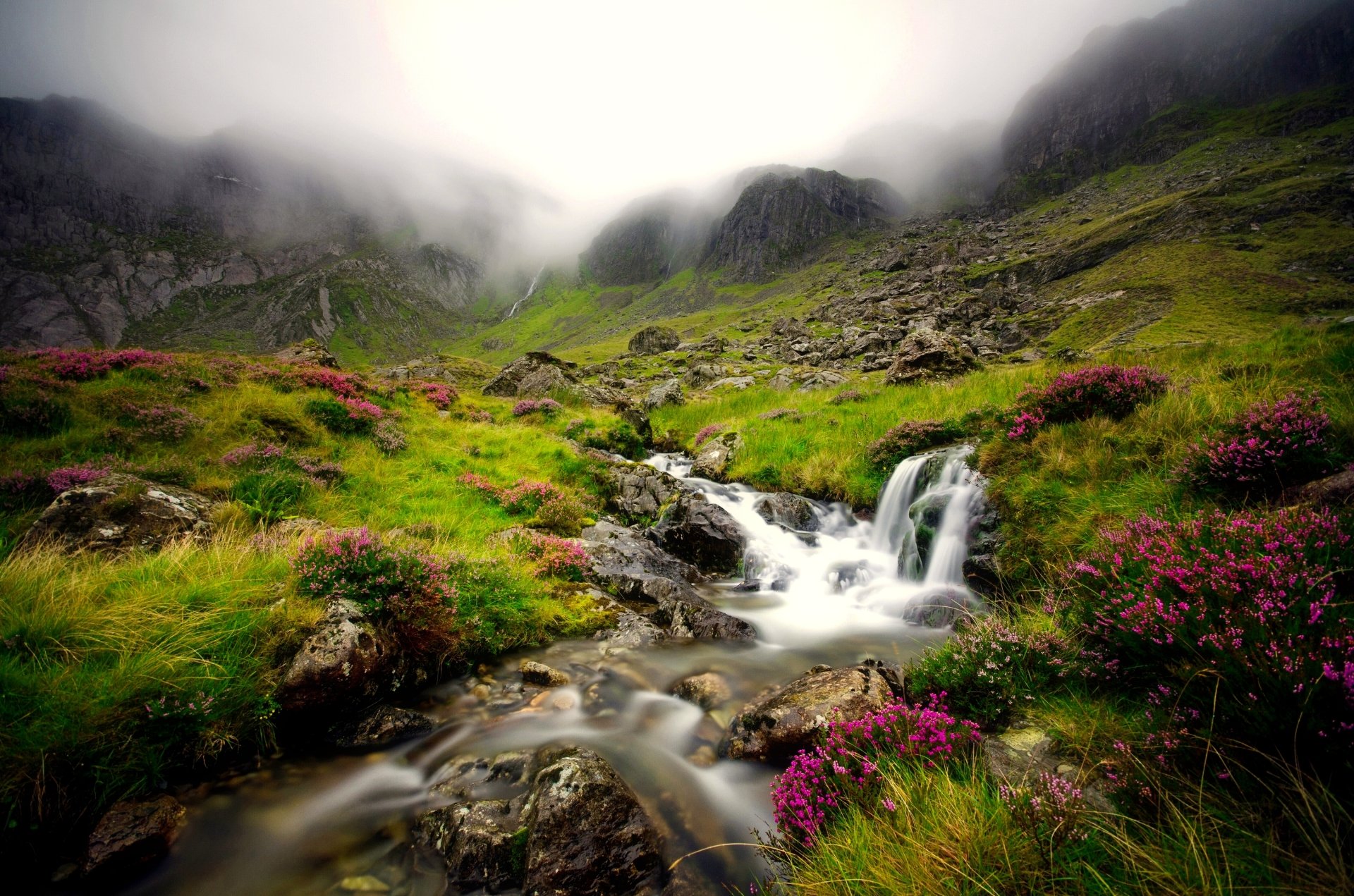 Misty Mountain Stream with Blossoming Flowers HD Wallpaper