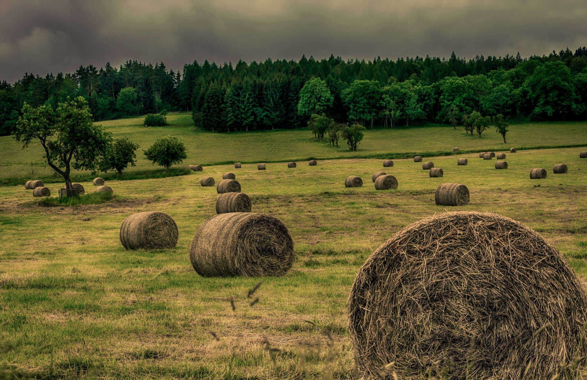 Download Summer Nature Field Haystack HD Wallpaper