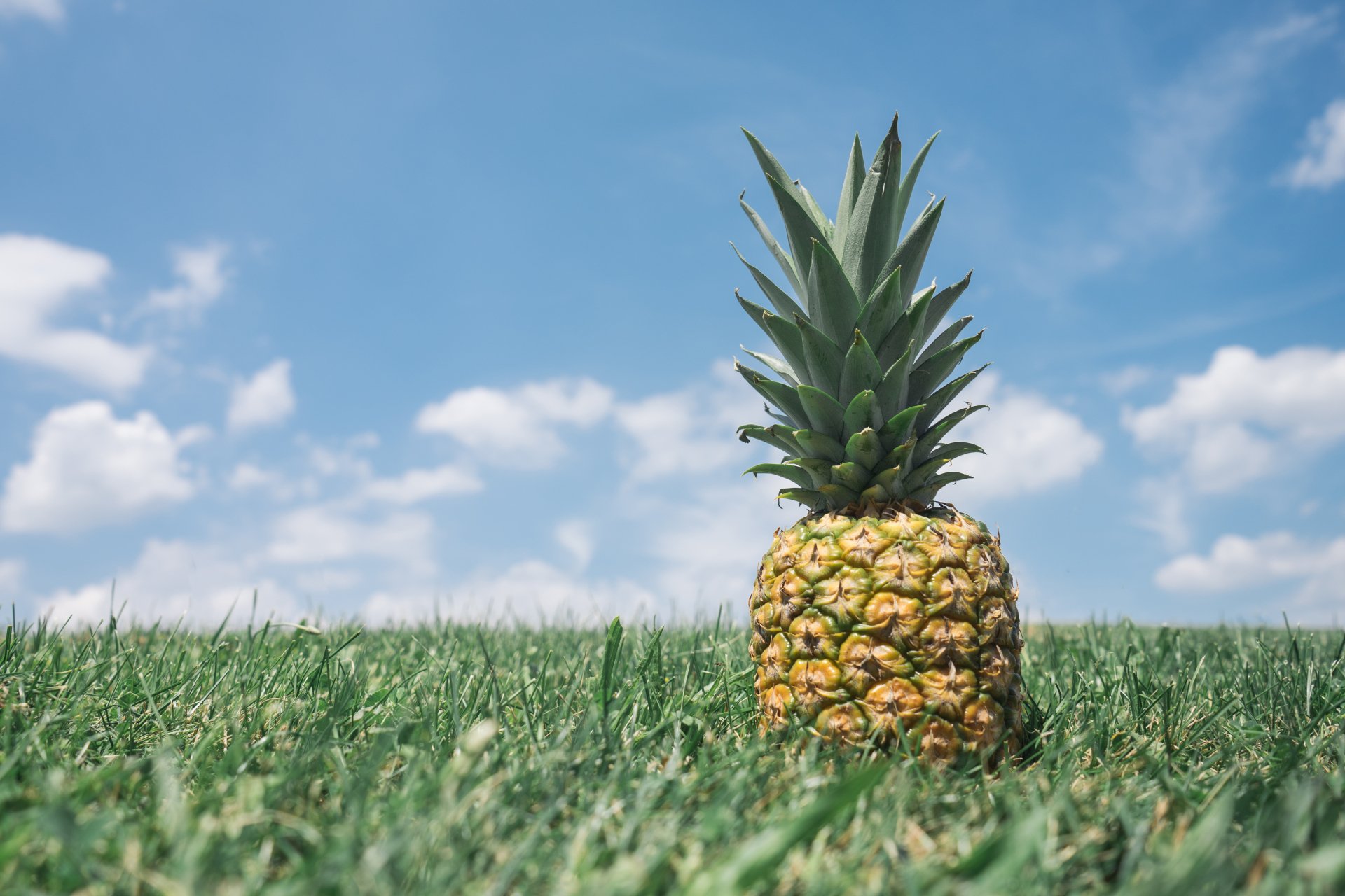 Download Fruit Food Pineapple 4k Ultra HD Wallpaper