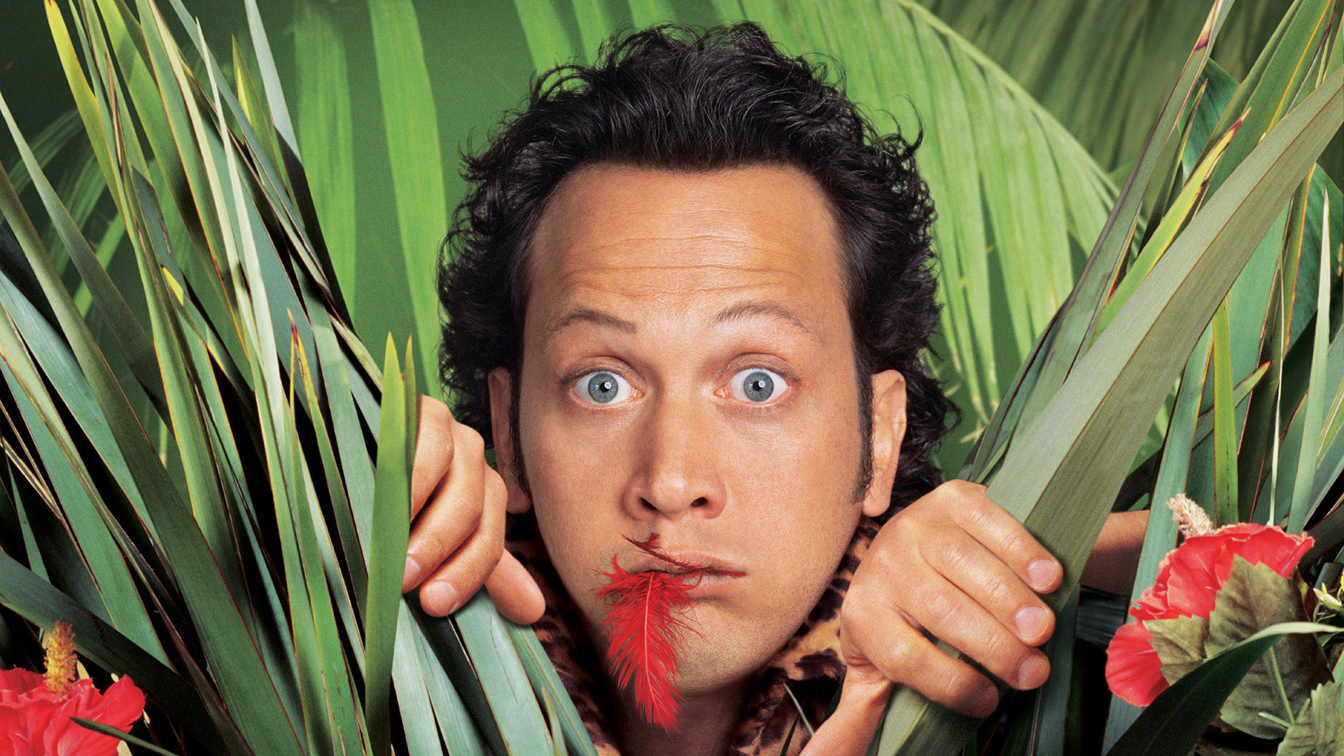 Movie The Animal HD Wallpaper