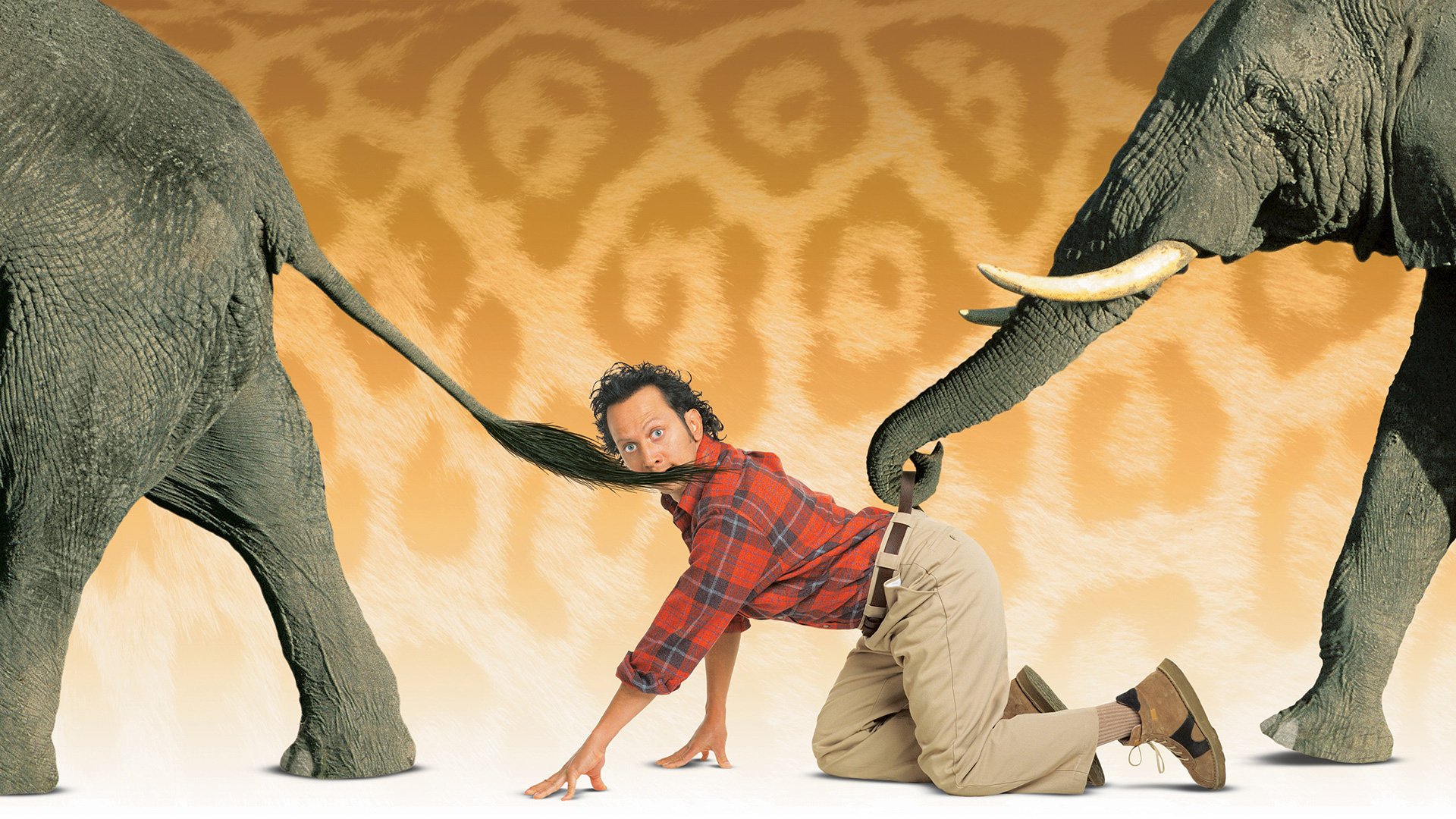 Download Movie The Animal HD Wallpaper