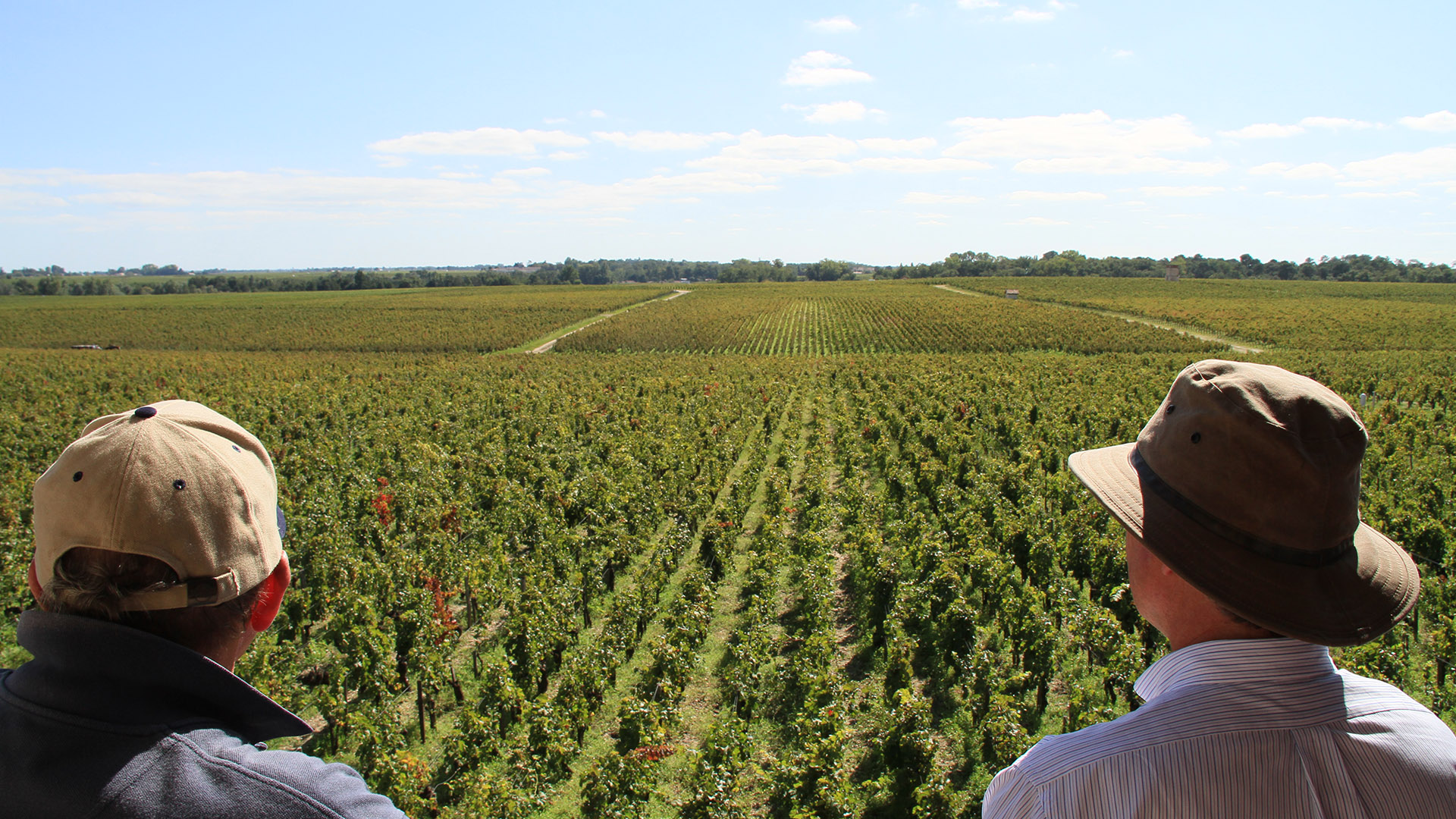 Movie Red Obsession HD Wallpaper