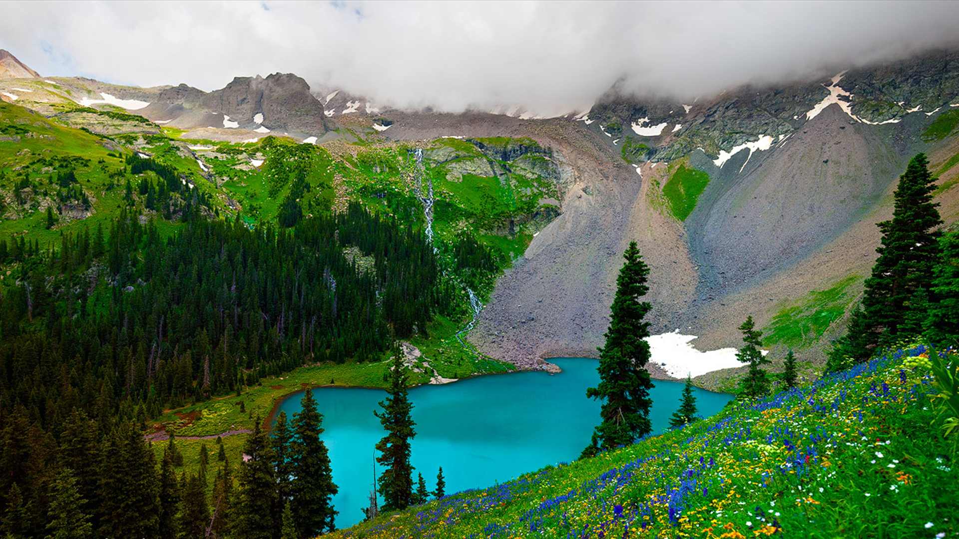 Download Forest Flower Mountain Landscape Turquoise Nature Lake HD ...
