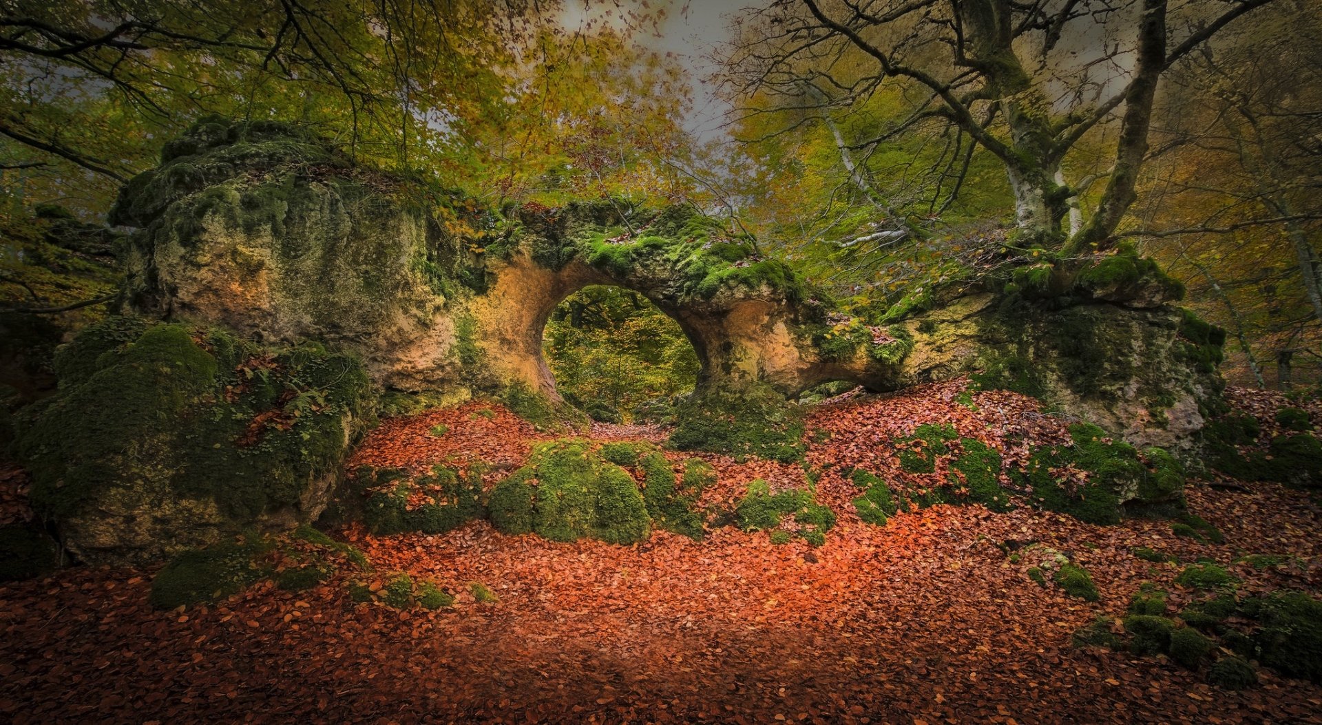 Download Forest Nature Arch HD Wallpaper