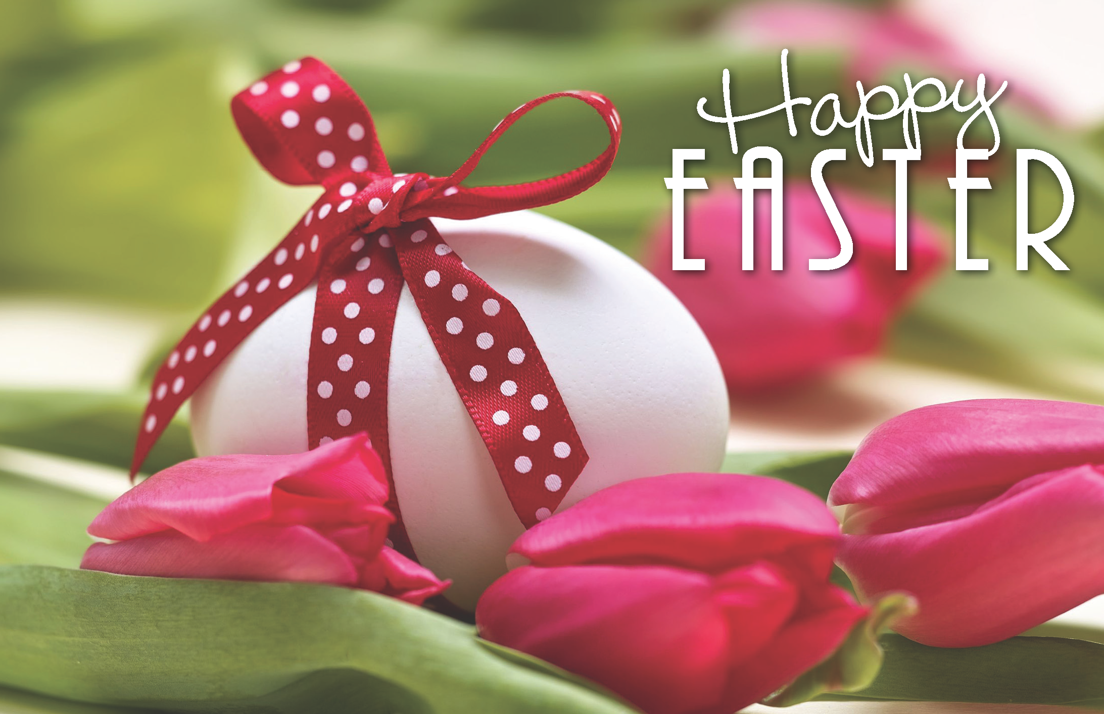 Download Holiday Easter HD Wallpaper