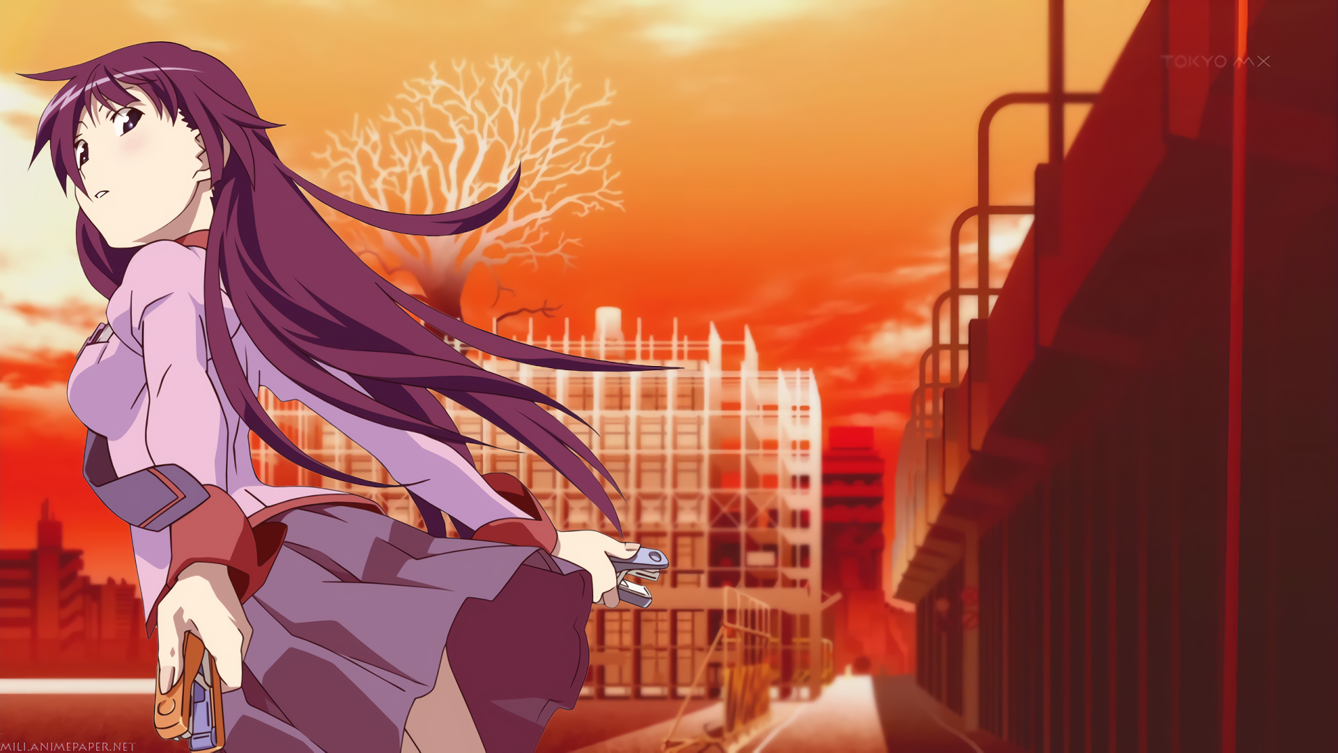 Monogatari (Series) HD Wallpaper