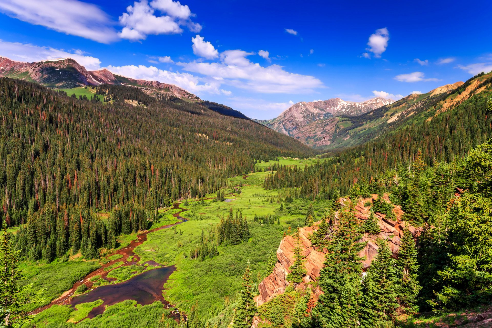 Download Mountain Forest Nature Landscape HD Wallpaper