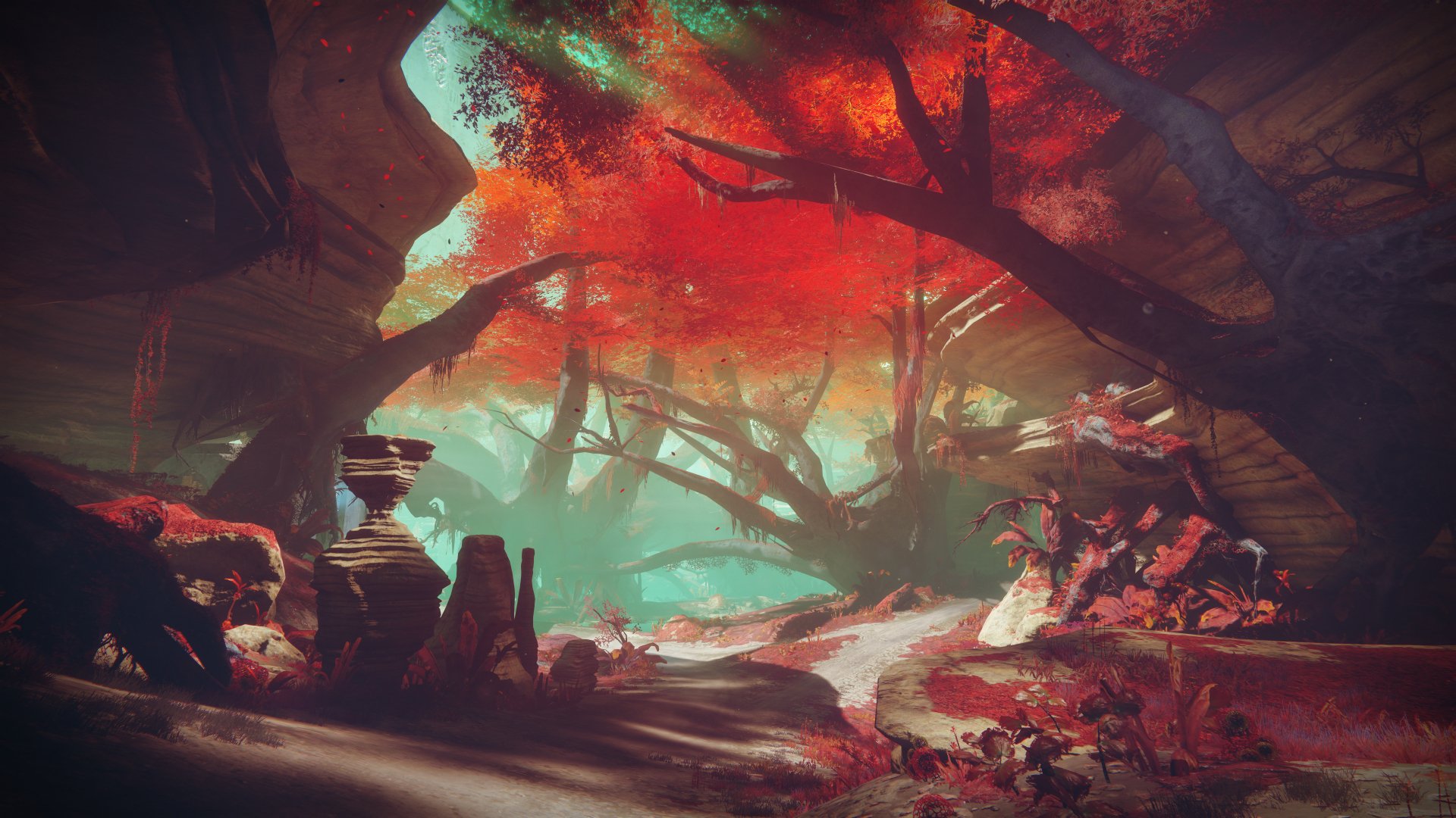 4K Ultra HD Destiny 2: Enchanted Forest Battle Wallpaper