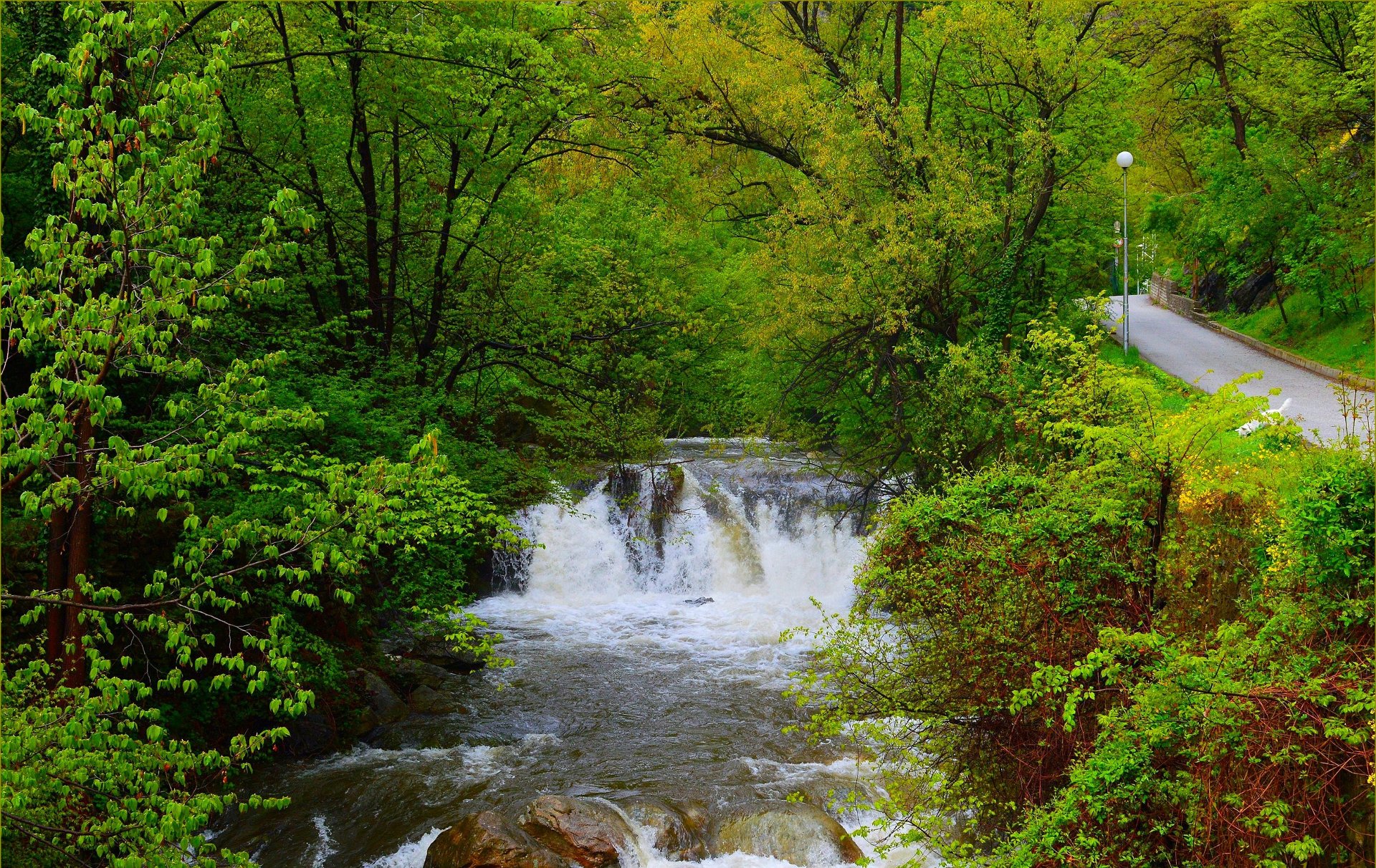 Spring Serenity: Lush Green Forest Waterfall HD Wallpaper