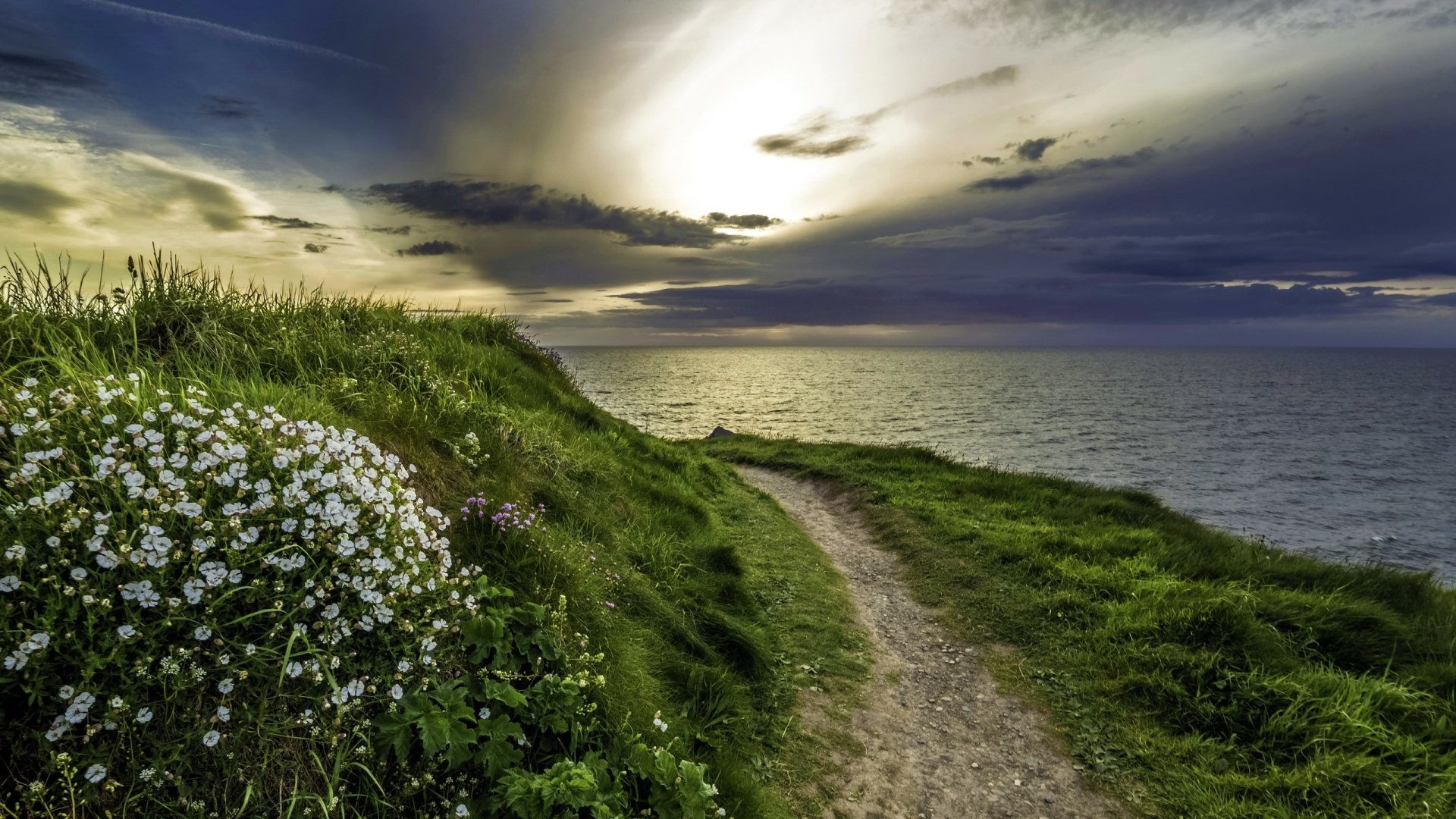 England's Coastal Path: Blossoms Meet Horizon Over Ocean and Sky