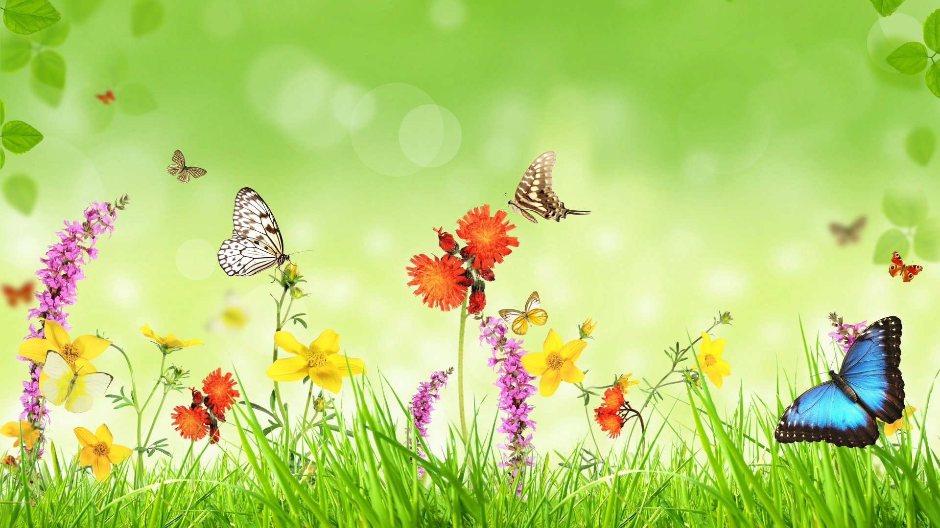 Download Colorful Butterfly Flower Grass Artistic Spring 4k Ultra HD ...