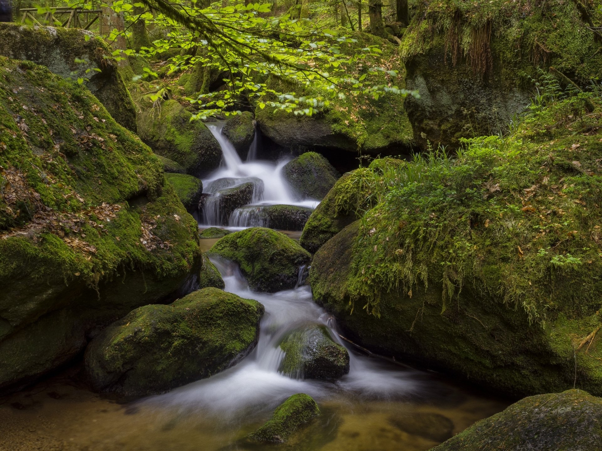 Mossy Stream - HD Nature Wallpaper