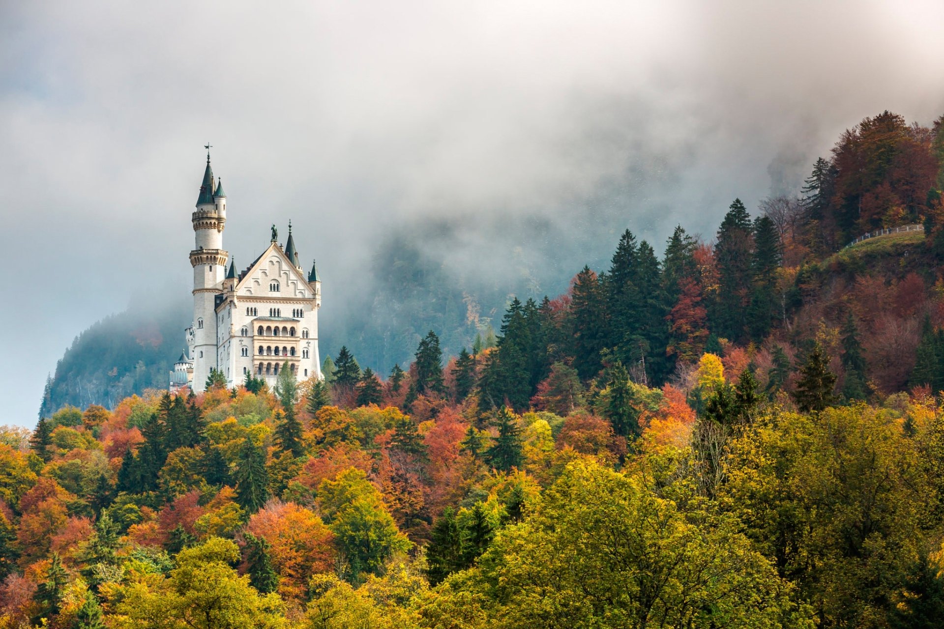 Neuschwanstein Castle Amid Foggy Fall Forest in Germany | HD Wallpaper