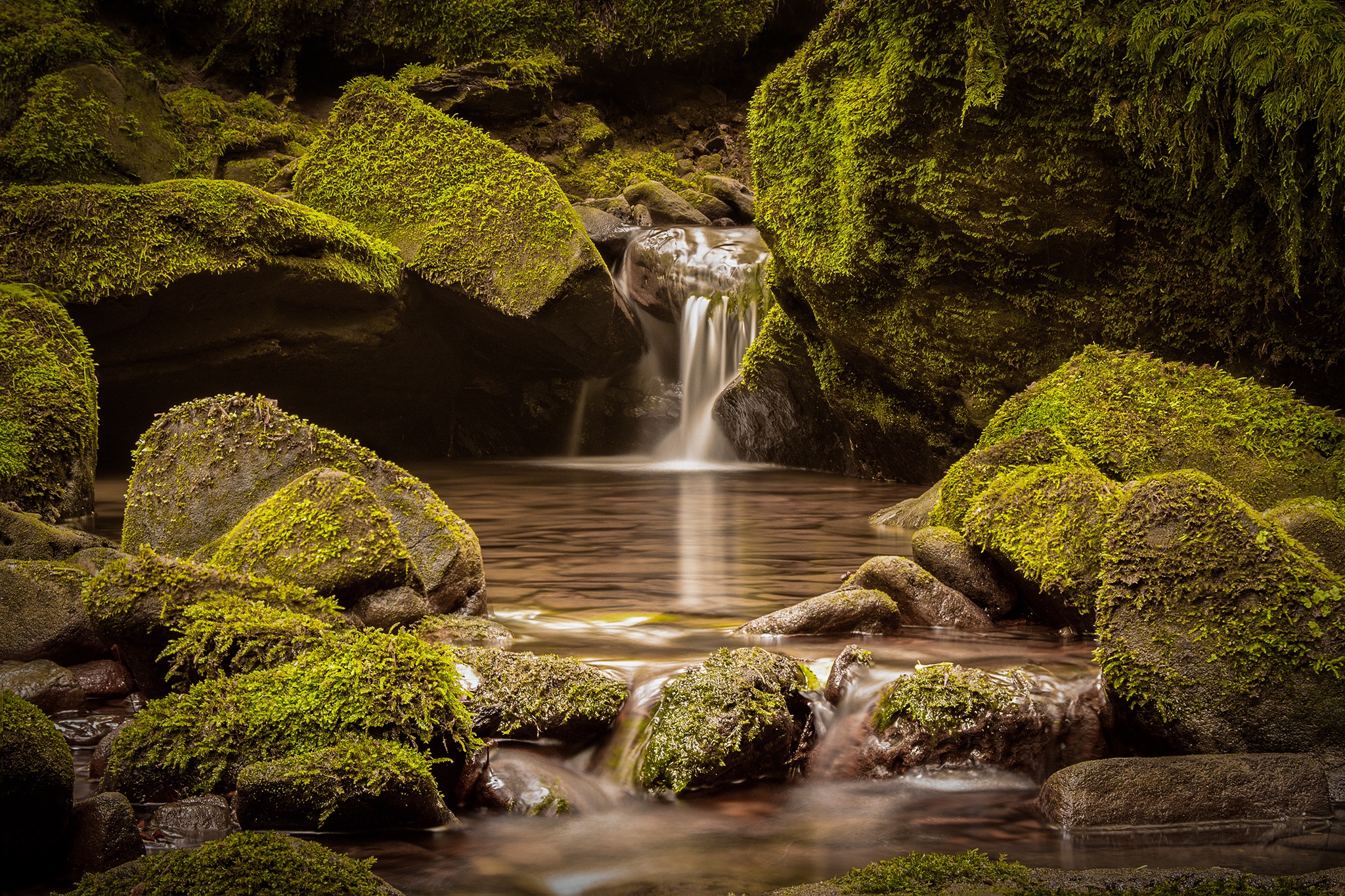 Download Moss Nature Stream HD Wallpaper
