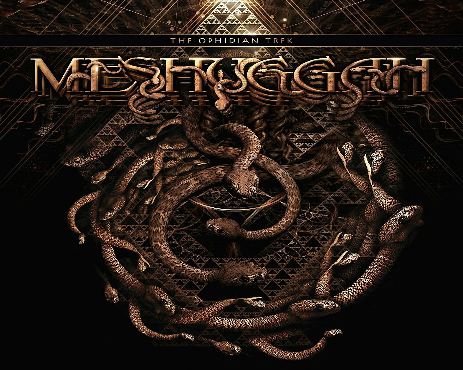 Download Heavy Metal Death Metal Music Meshuggah Wallpaper