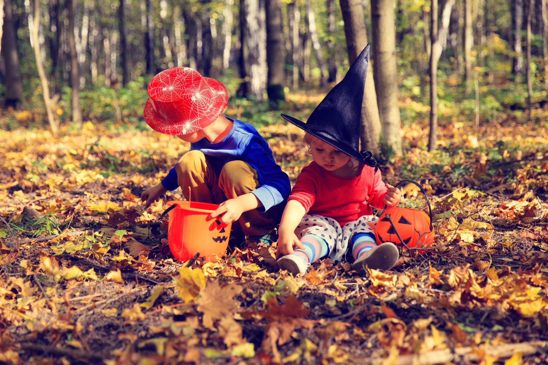 Download Holiday Halloween 4k Ultra HD Wallpaper