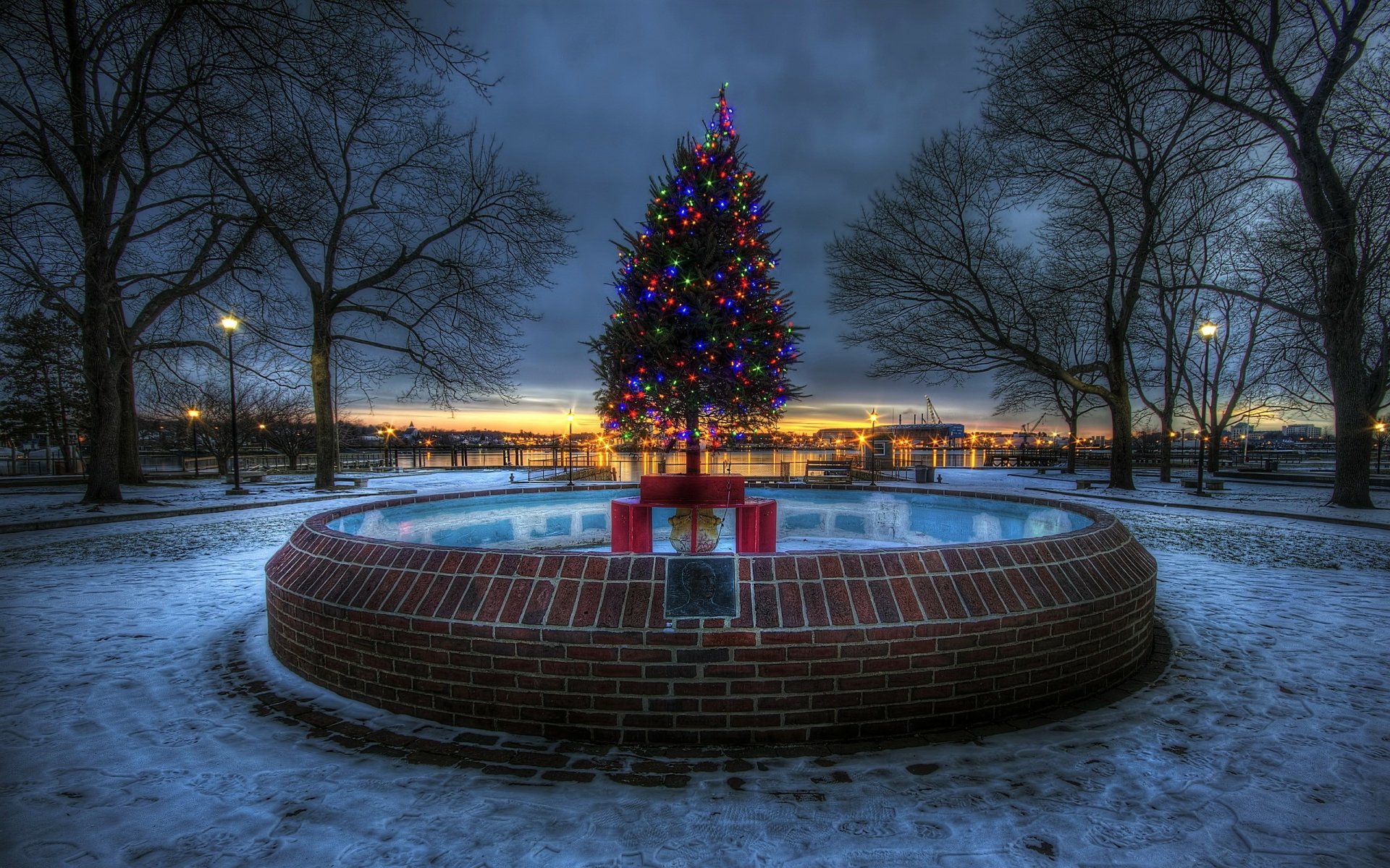 Festive Christmas Tree Glow: Holiday Lights Brighten a Winter Night HD ...
