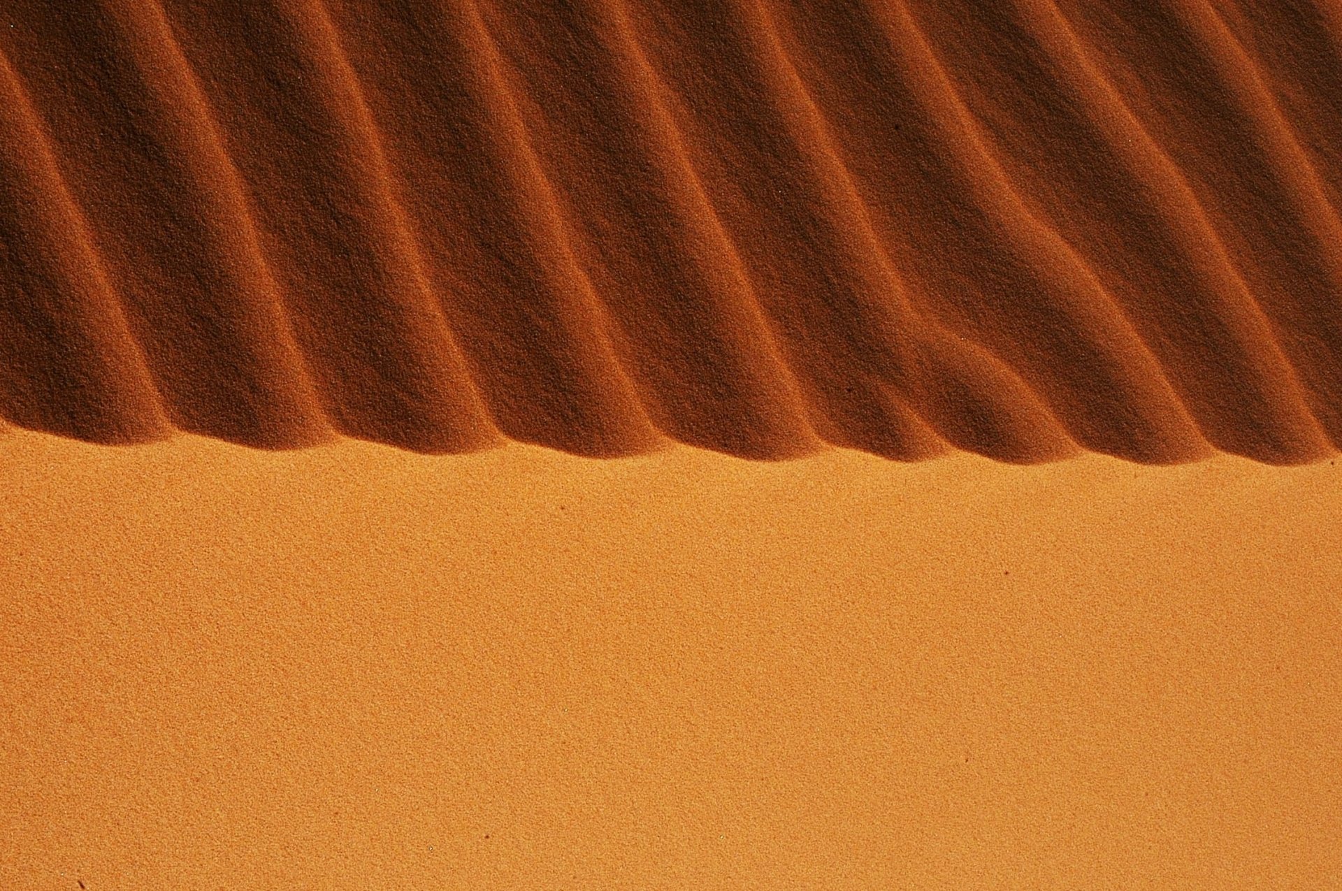 Saharan Sand Dunes of Algeria – Majestic Desert Waves in HD