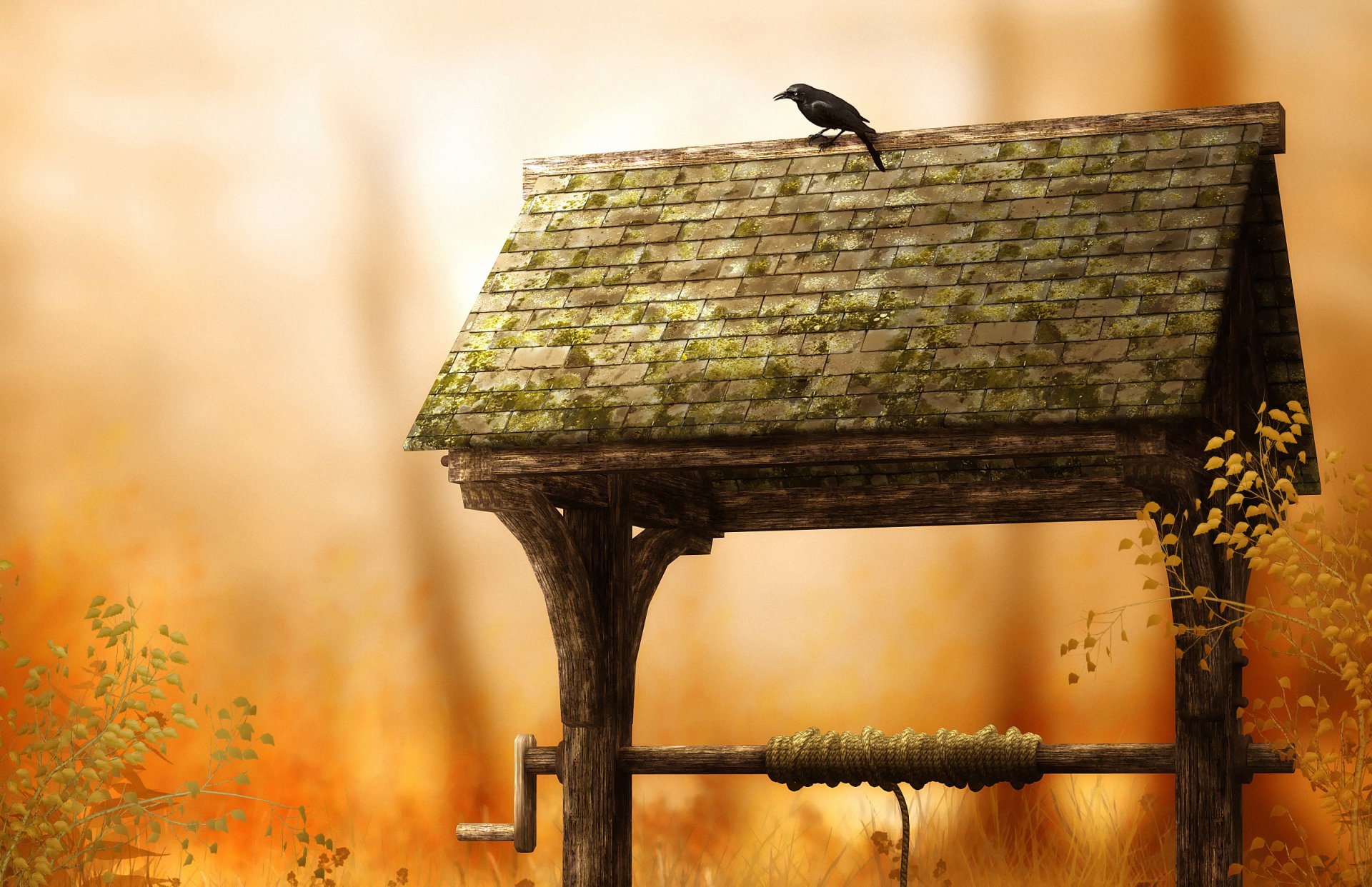 Download Raven Bird Well Animal Crow HD Wallpaper