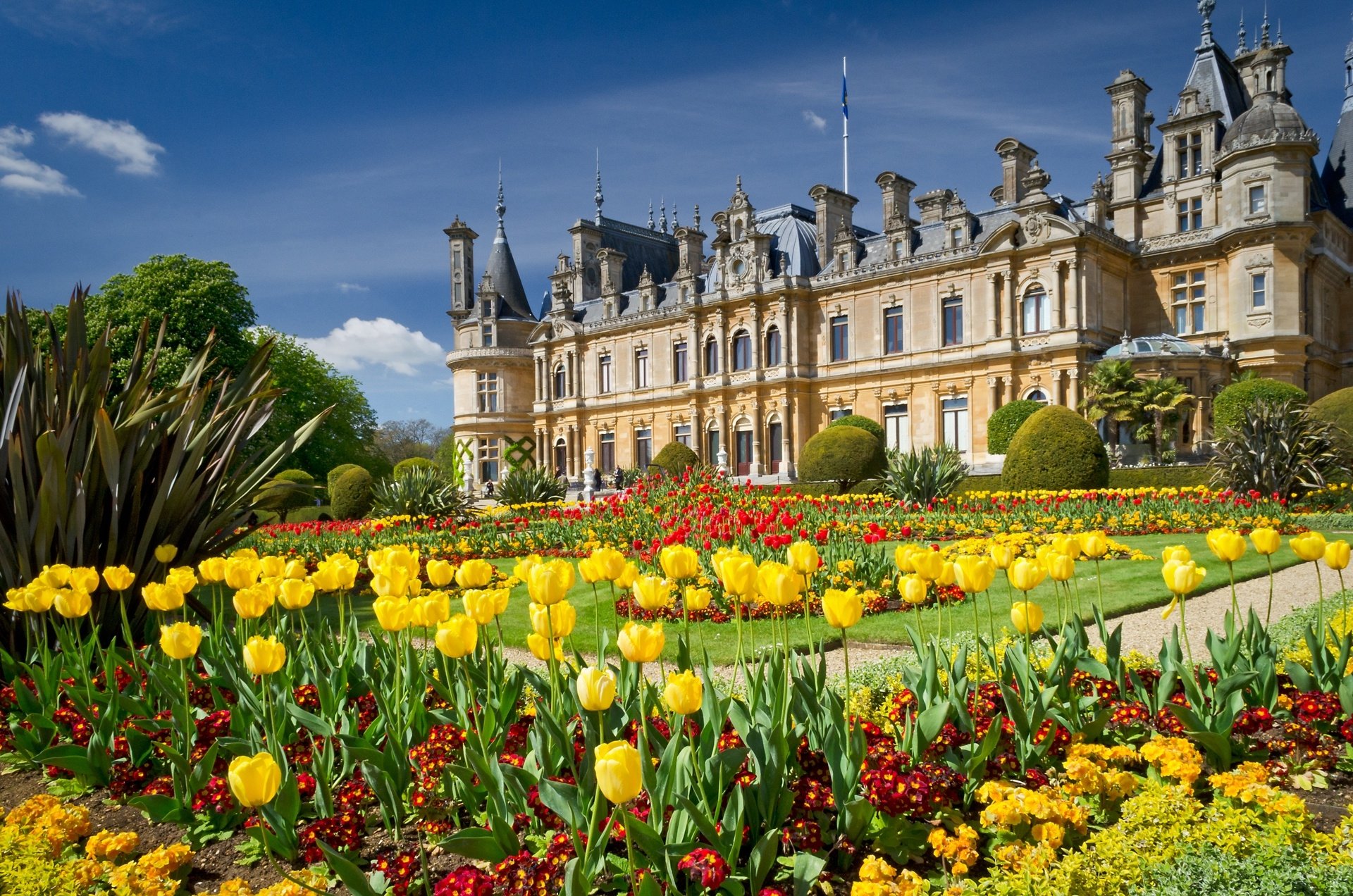 Waddesdon Manor: English Mansion & Tulip Garden HD Wallpaper
