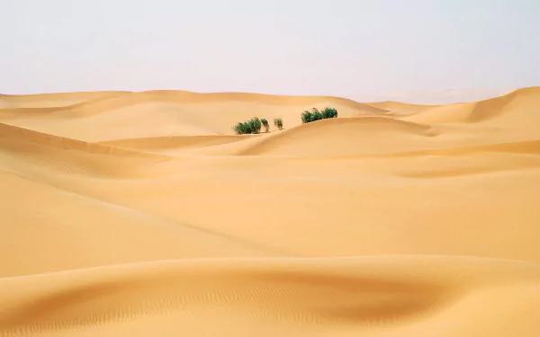 [50+] Sahara 4k Wallpapers