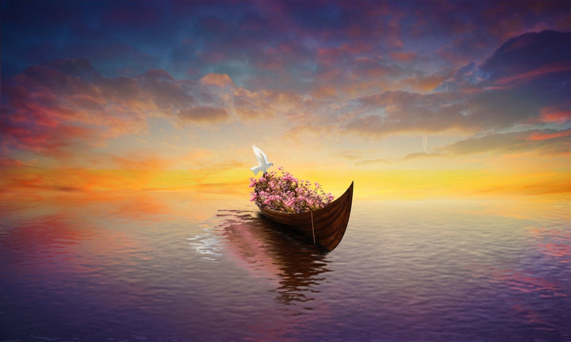Download Horizon Dove Flower Canoe Artistic Boat HD Wallpaper