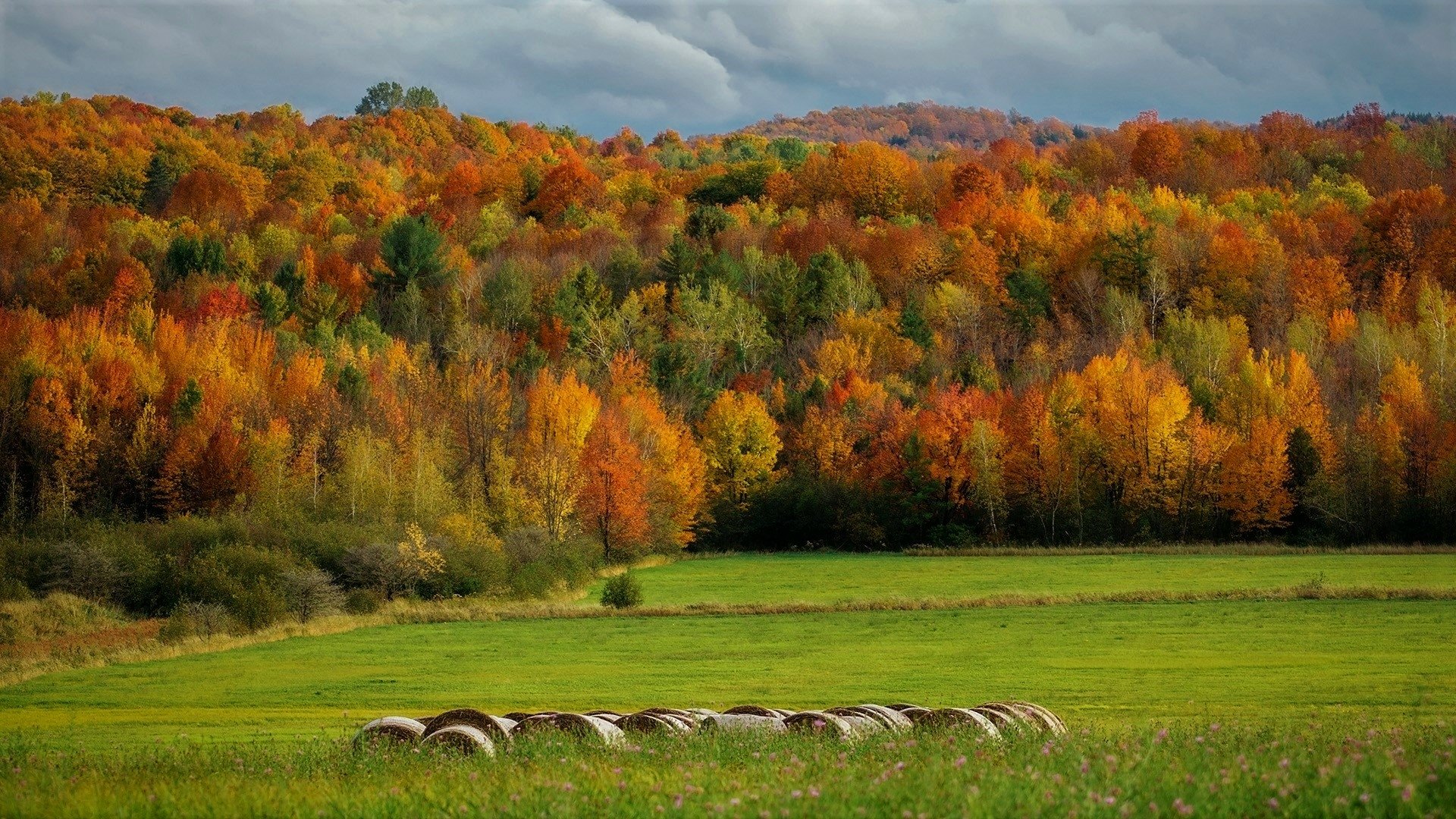 Download Haystack Field Fall Nature Forest HD Wallpaper