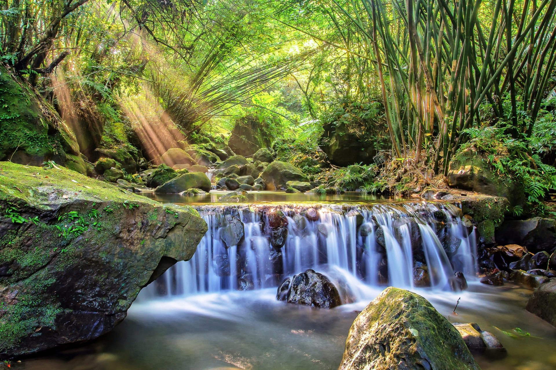 Sunlit Bamboo Stream with Moss and Waterfall - HD Nature Wallpaper