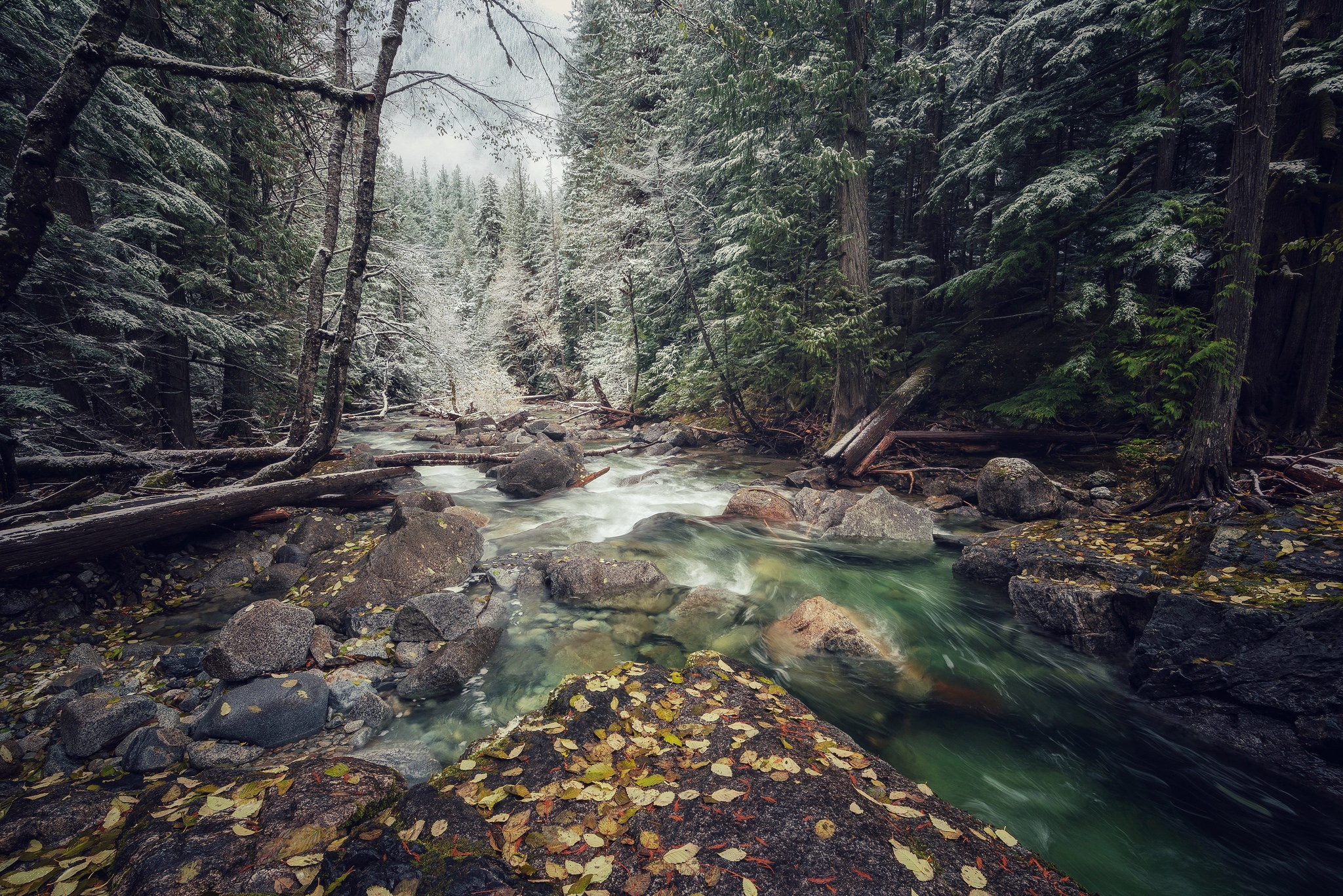 Download Forest Winter Nature Stream HD Wallpaper