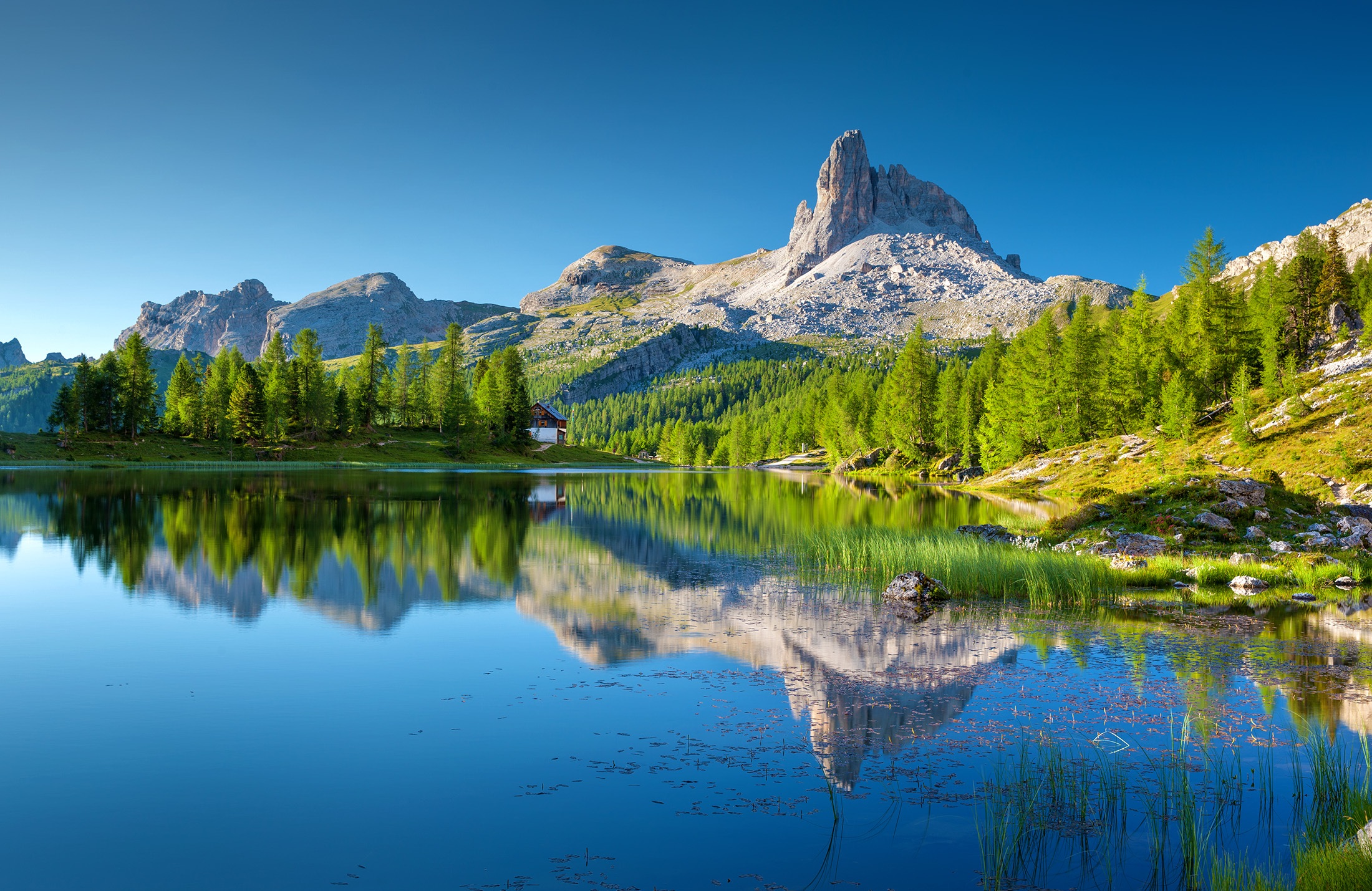 Download Nature Tree Italy Mountain Reflection Landscape Photography ...