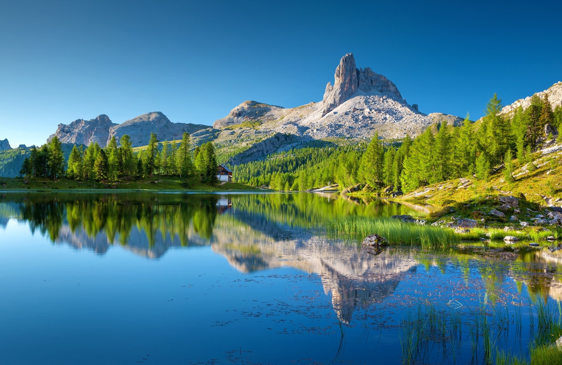 Majestic Mountain Reflection: Italy’s Serene Lake and Lush Tree ...