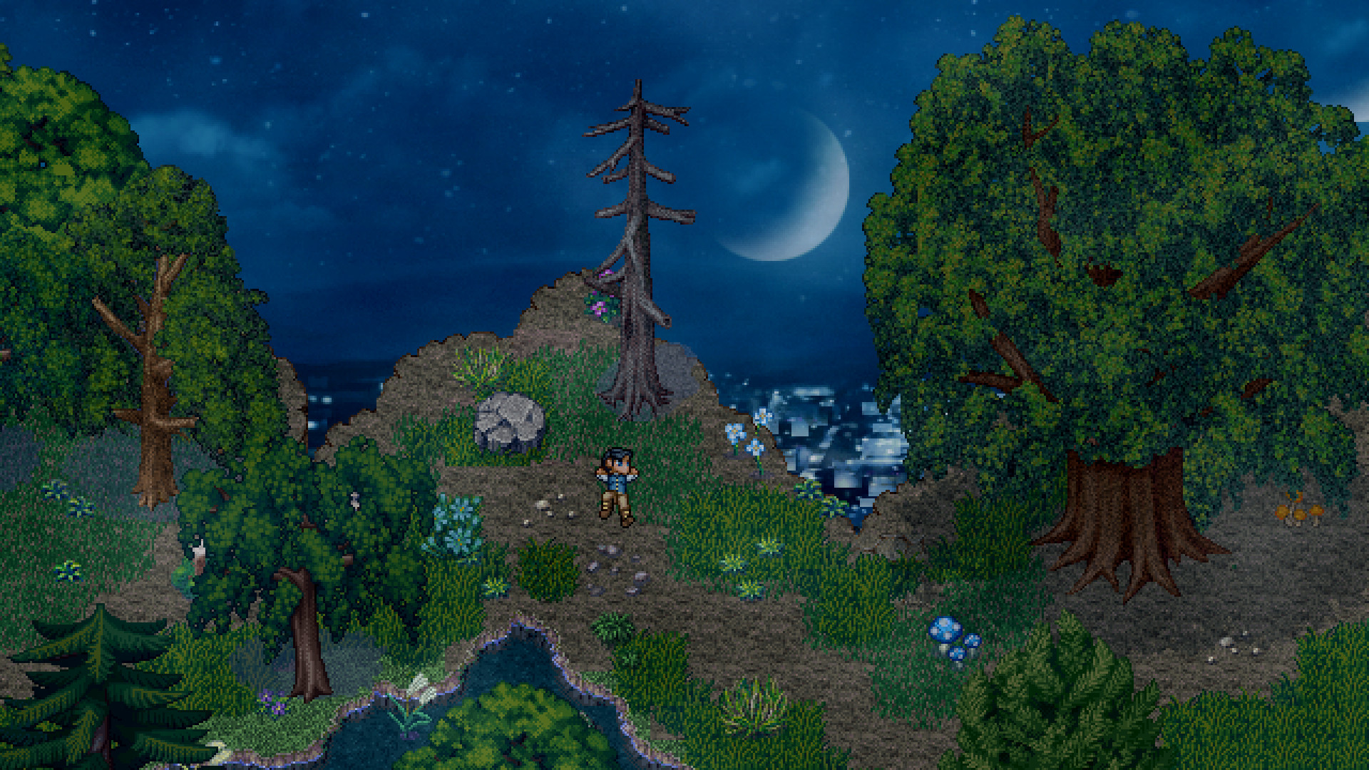 Finding Paradise Game Night Scene HD Wallpaper