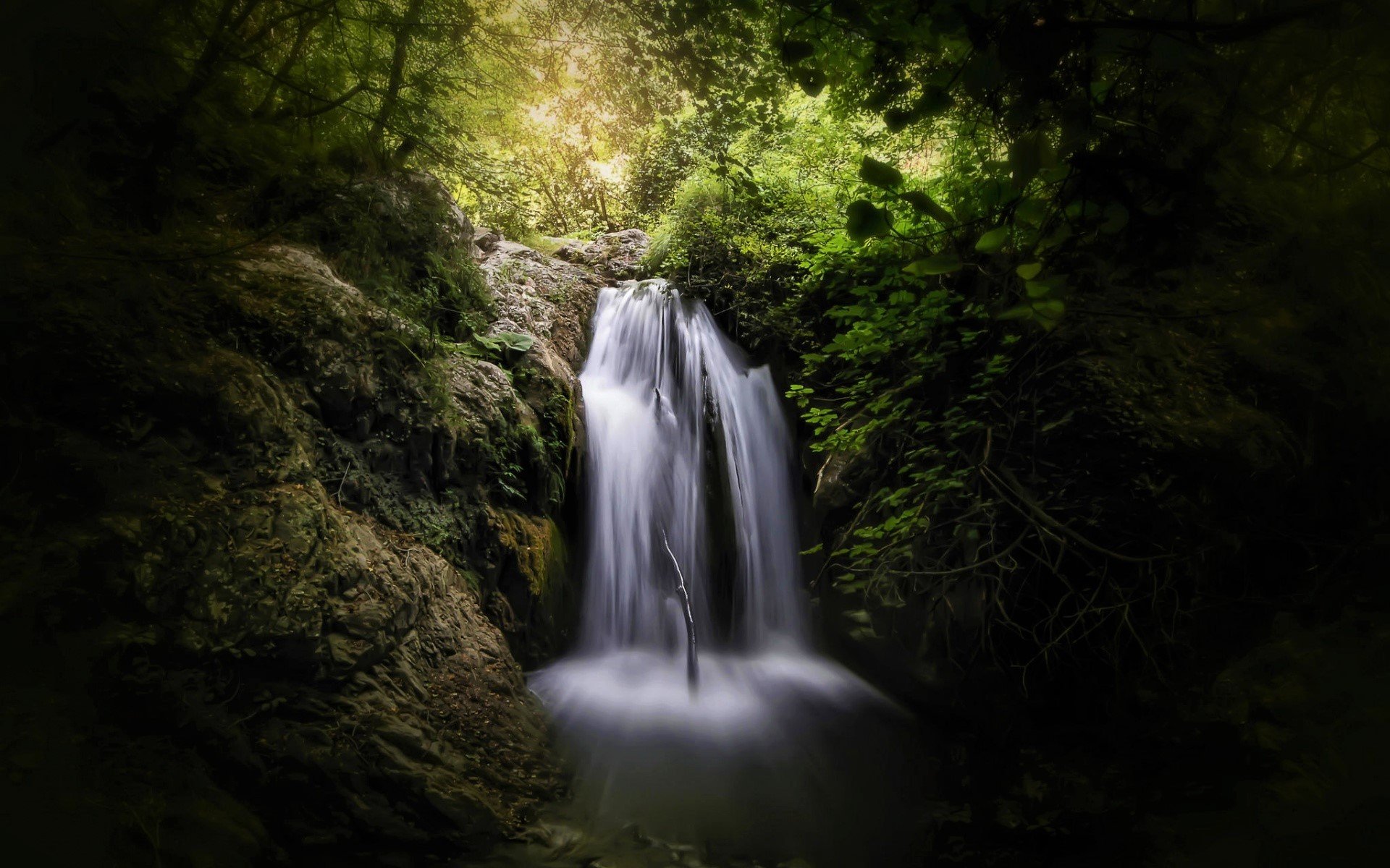 Download Green Forest Nature Waterfall HD Wallpaper