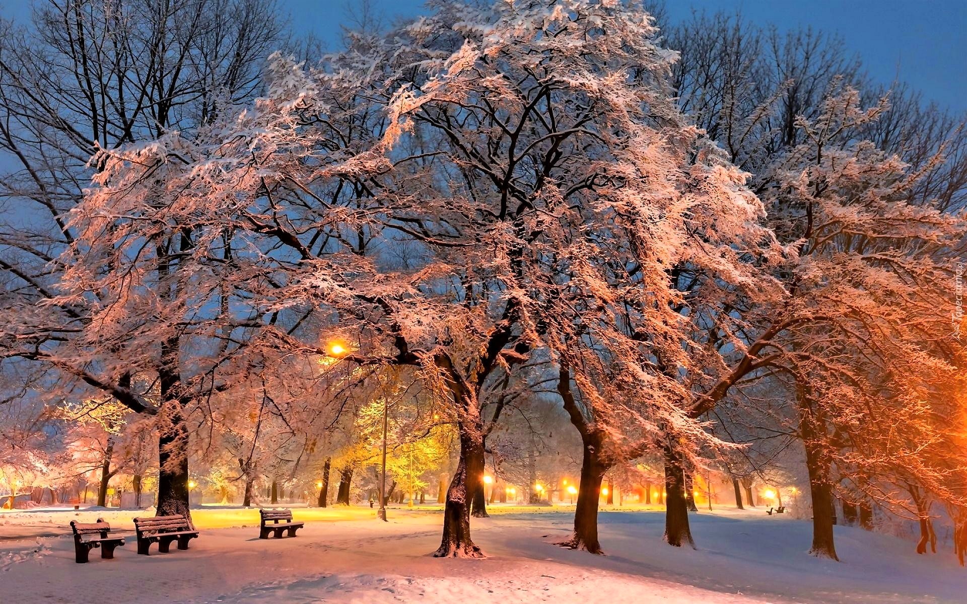 Winter Park Scenes For Desktop 801,077 Winter Park Snow Stock Photos