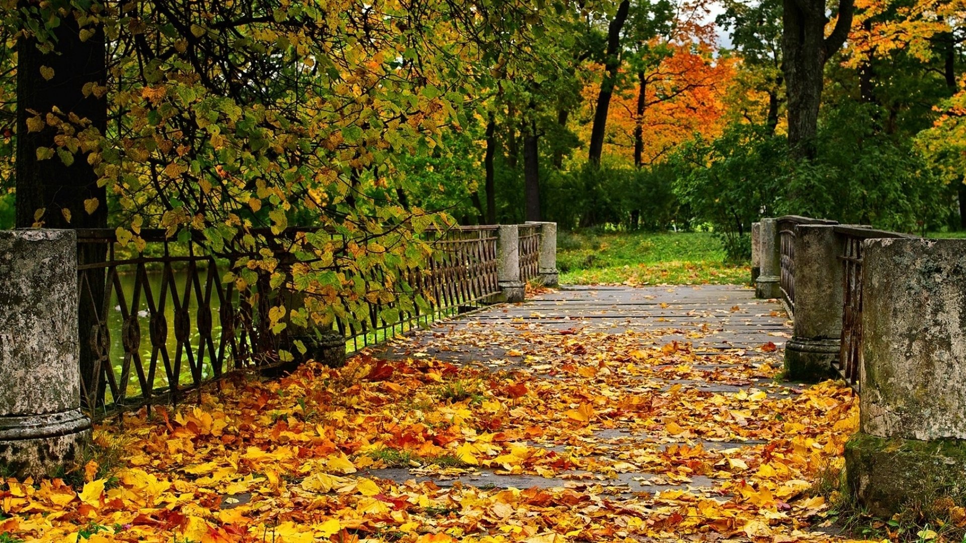 Autumn Bridge Serenity – HD Fall Park Photography Wallpaper | 1920x1080 ...