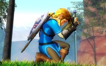 Download Link Sword Warrior The Legend Of Zelda Video Game The Legend ...