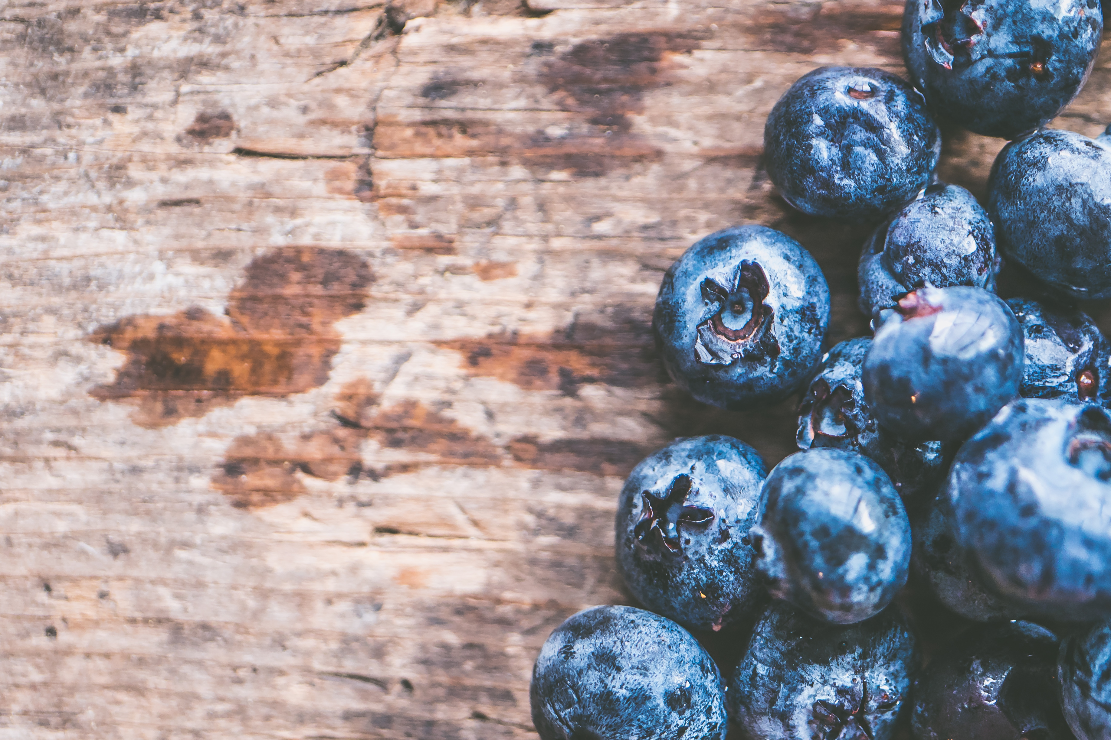 Blueberry HD Wallpaper