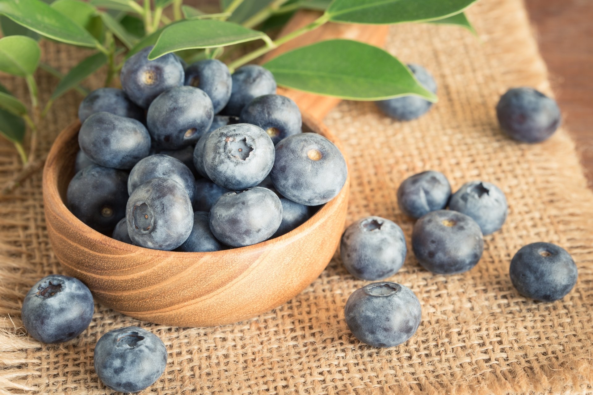 Download Berry Fruit Food Blueberry 4k Ultra HD Wallpaper
