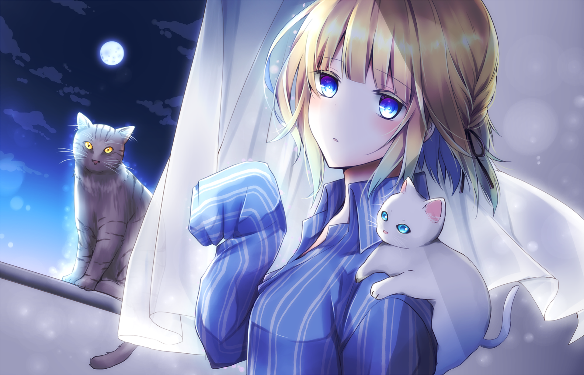 HD Anime Cat Wallpaper: A Dreamy Night with Feline Friends by 七瀬えか